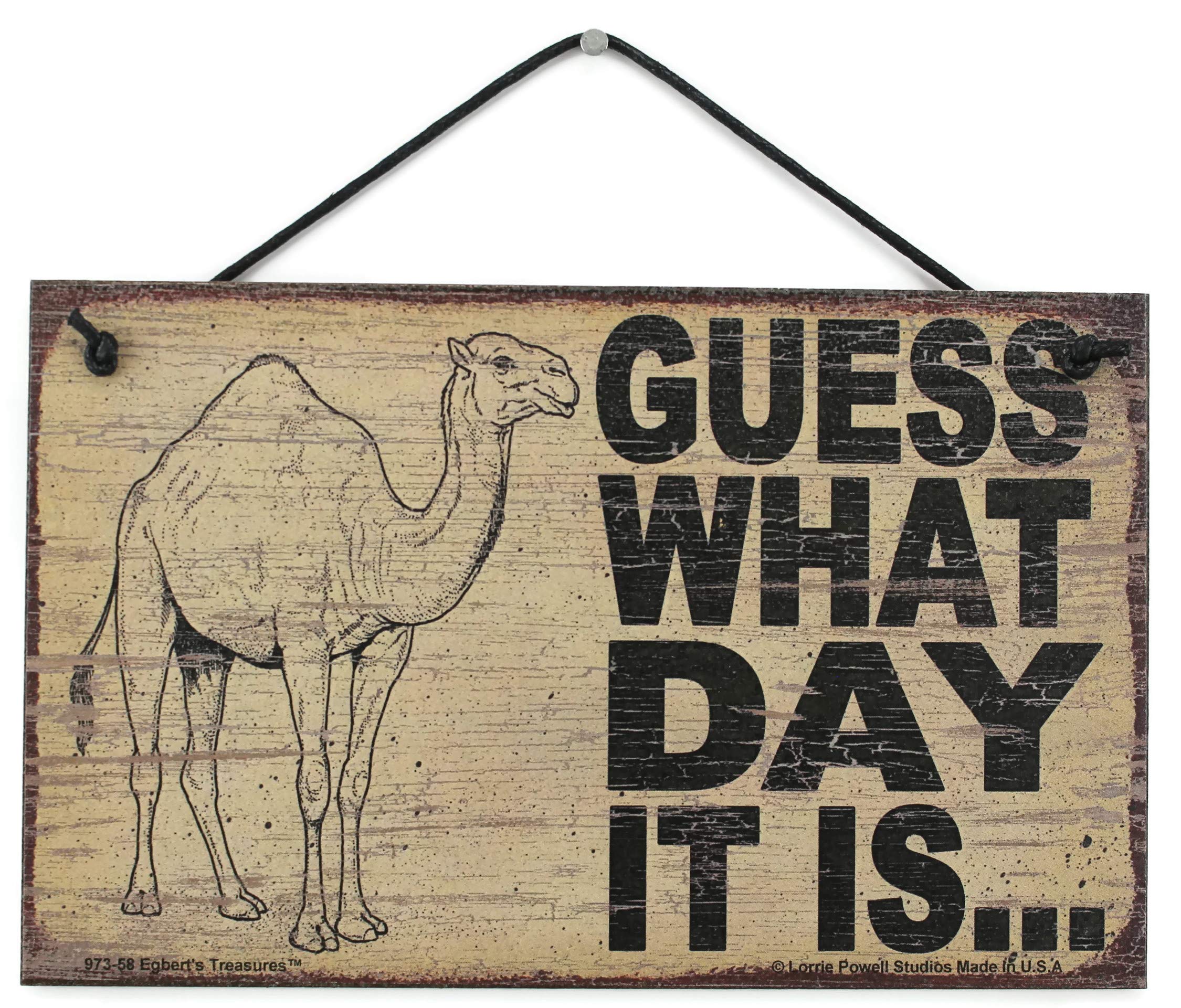Camel Saying Hump Day HUMP DAYYYY! Pink Text Phrase T Shirt Camel
