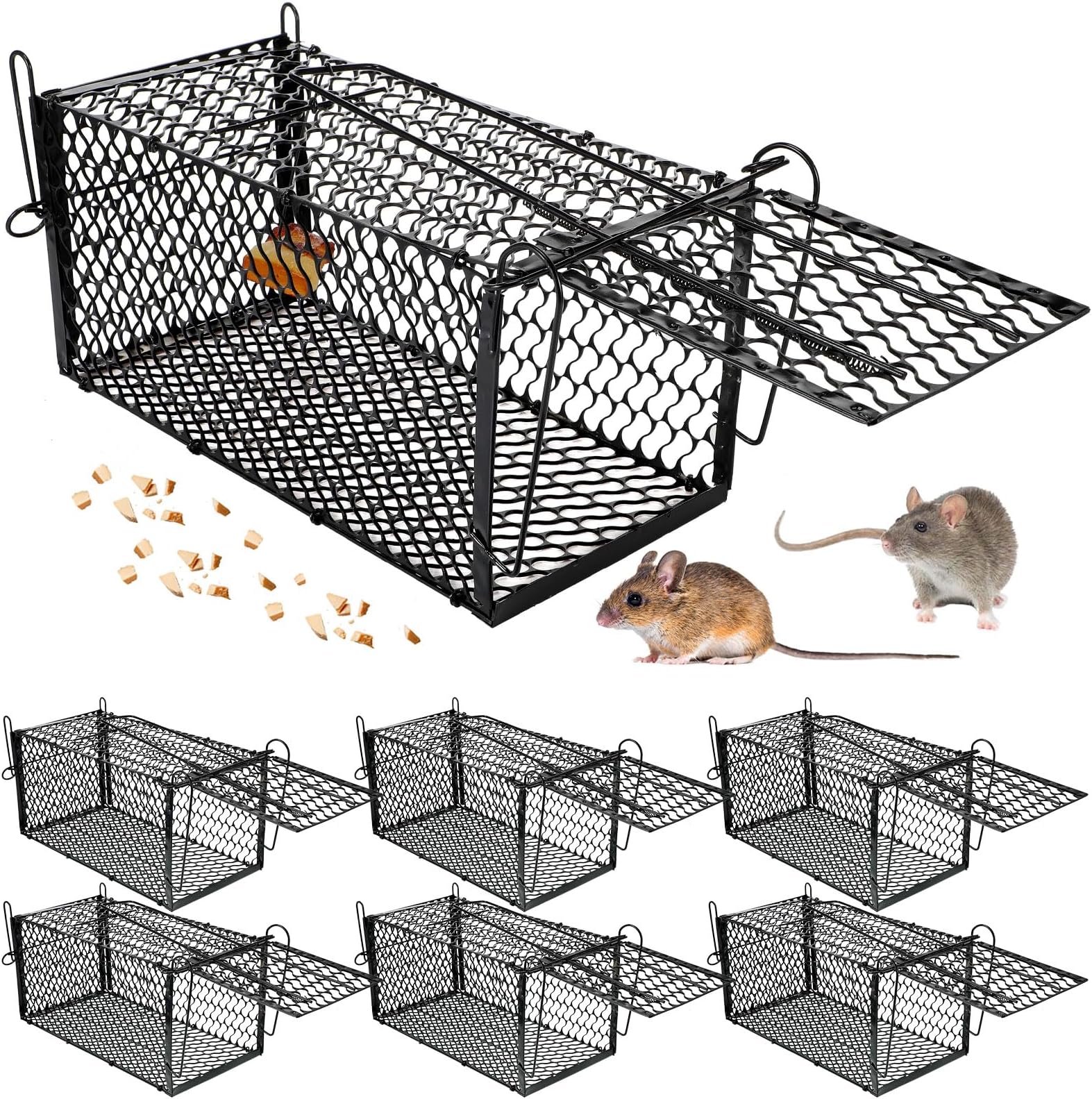 Amazon.com : Qualirey 6 Pcs Humane Rat Trap Small Chipmunk Mouse ...
