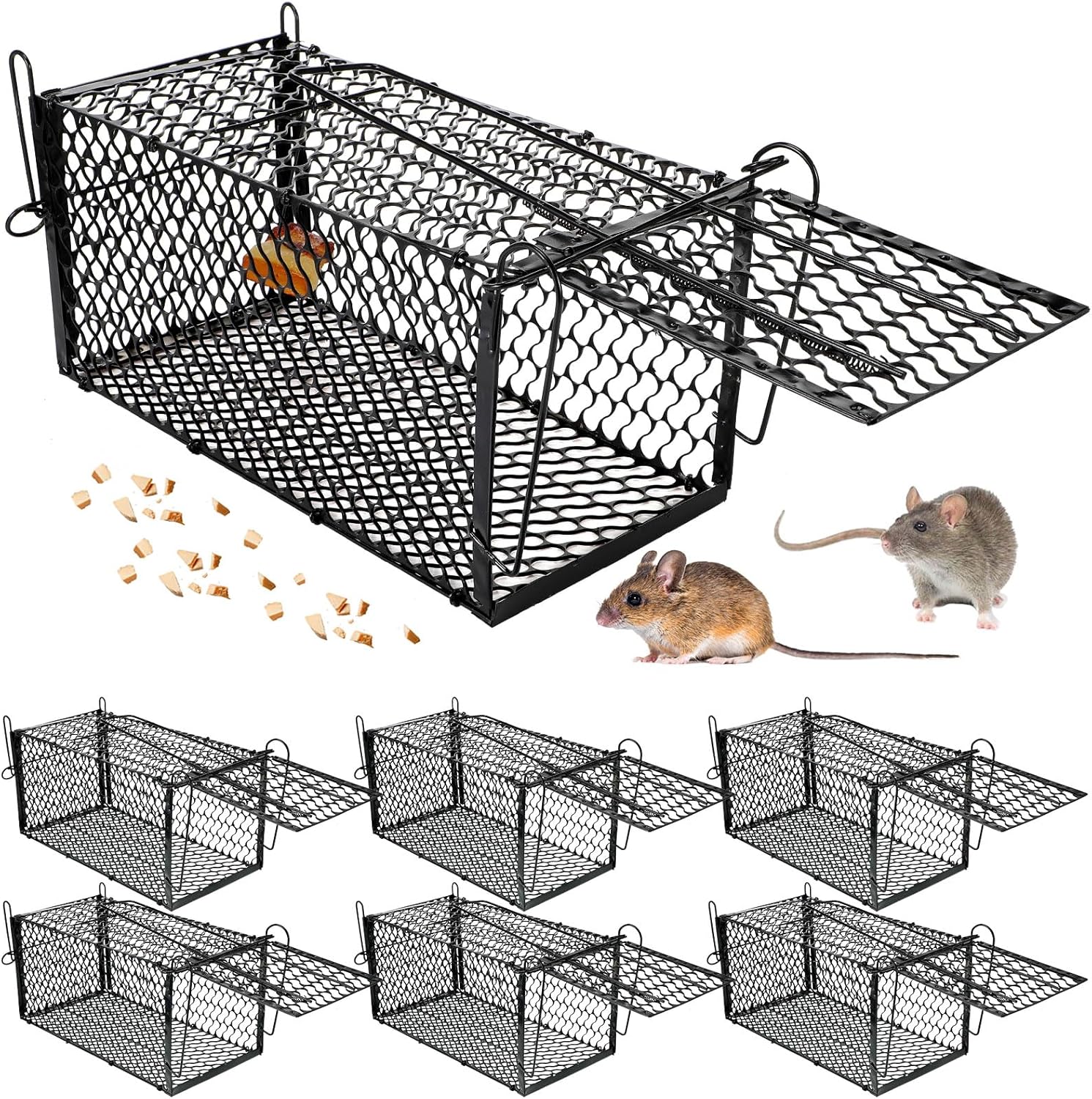 Qualirey 6 Pcs Humane Rat Trap Small Chipmunk Mouse Squirrel Cage Trap ...