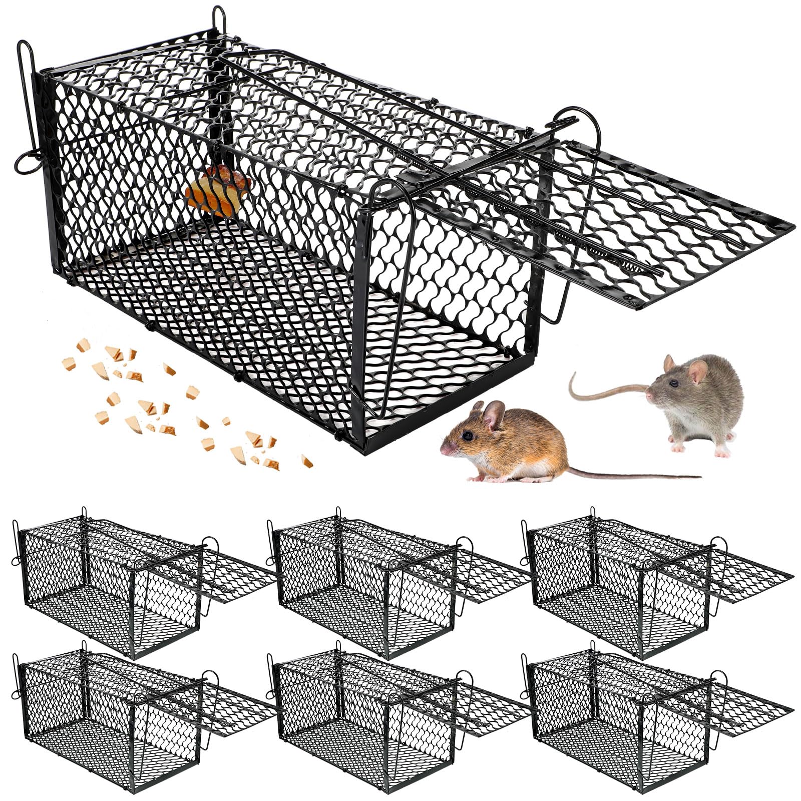 Amazon.com : Qualirey 6 Pcs Large Humane Rat Trap 12in Small Chipmunk ...