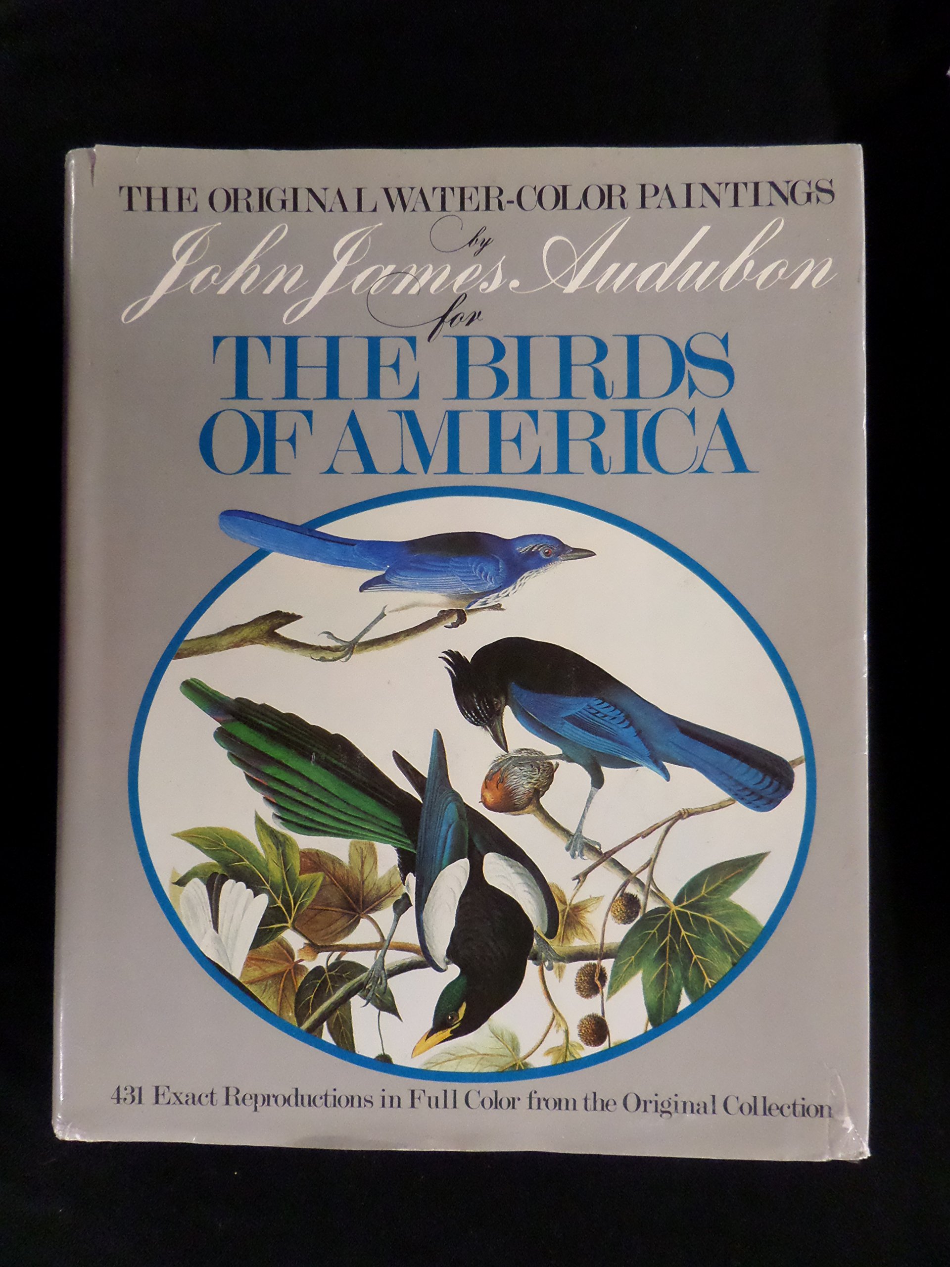 The original water-color paintings by John James Audubon for The birds ...