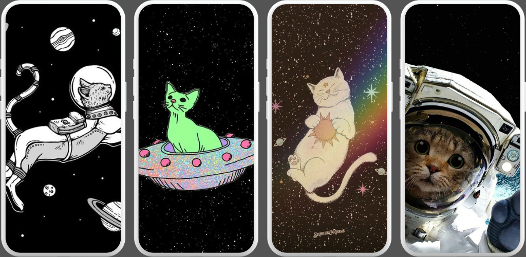 Illustrated Cat Wallpaper Cartoon Cat Illustration Wallpaper