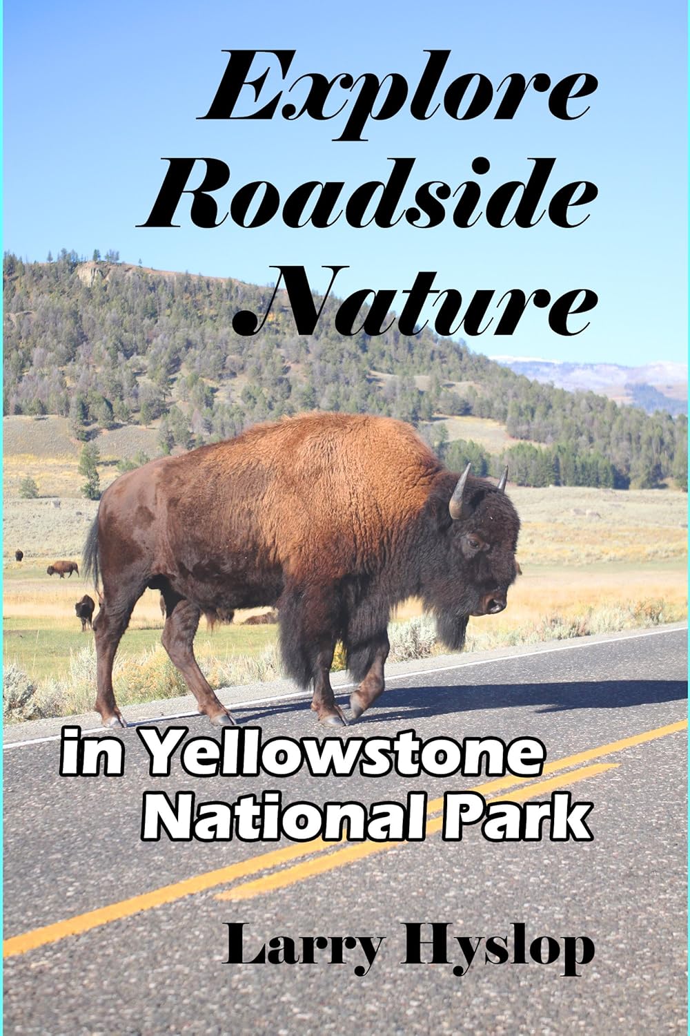Amazon.com: Explore Roadside Nature: in Yellowstone National Park eBook ...