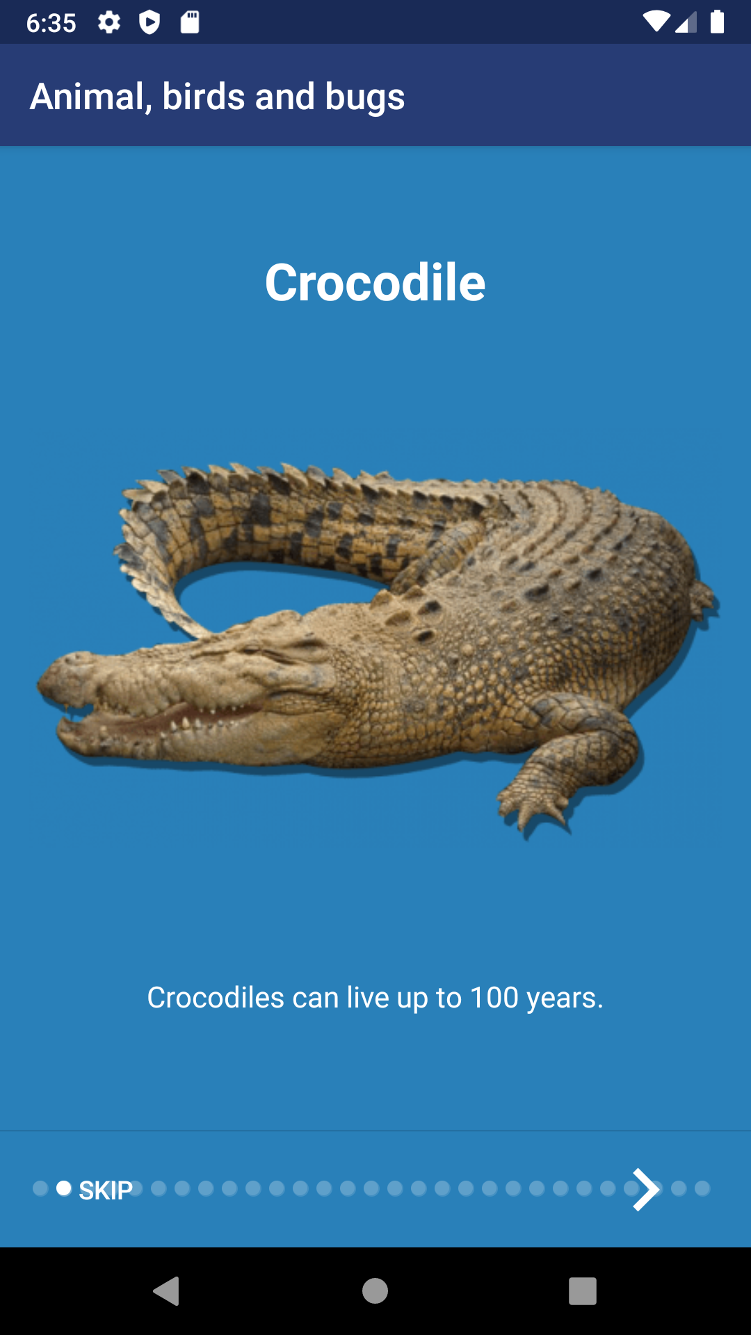 Animals, Birds and Bugs Introduction | Spelling sound and vocabulary of ...