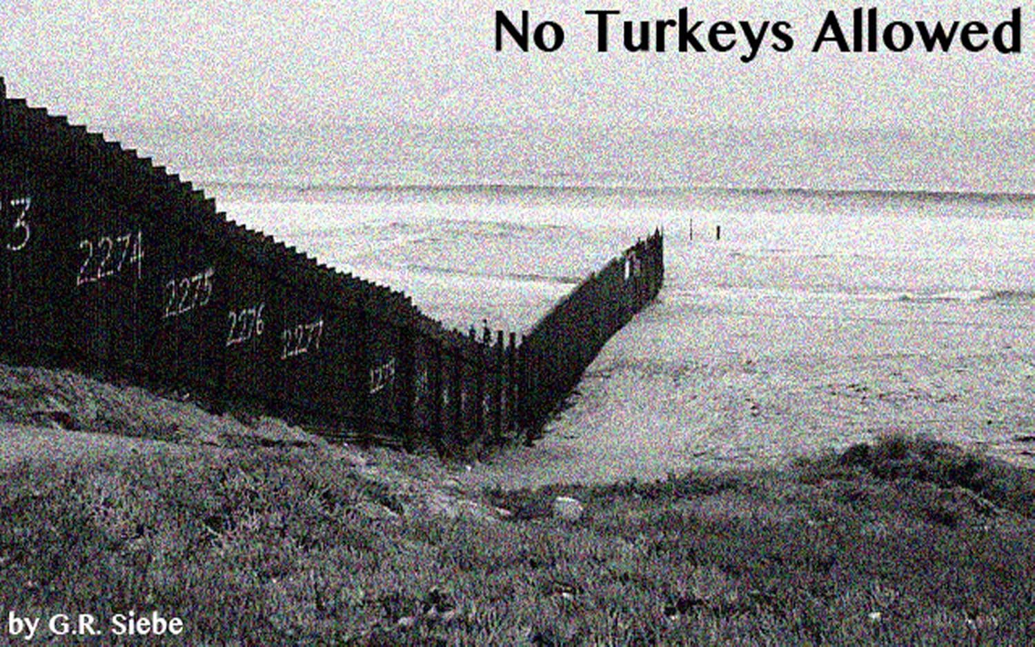 Amazon.com: No Turkeys Allowed: from an immigrant, who is also a ...