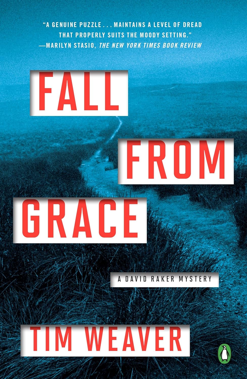 Amazon.com: Fall from Grace: A David Raker Mystery: 9780399562594 ...