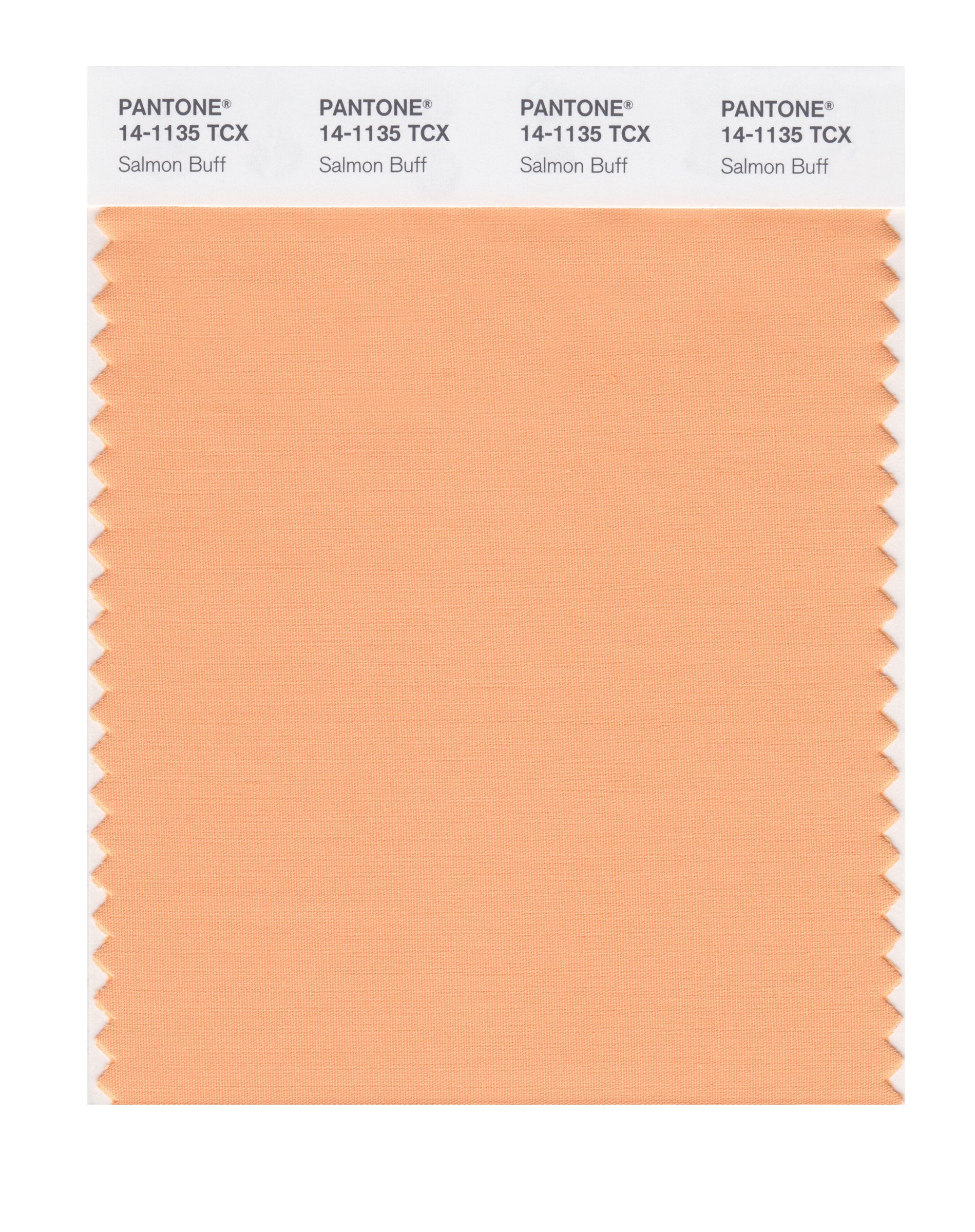 Salmon Color Swatch