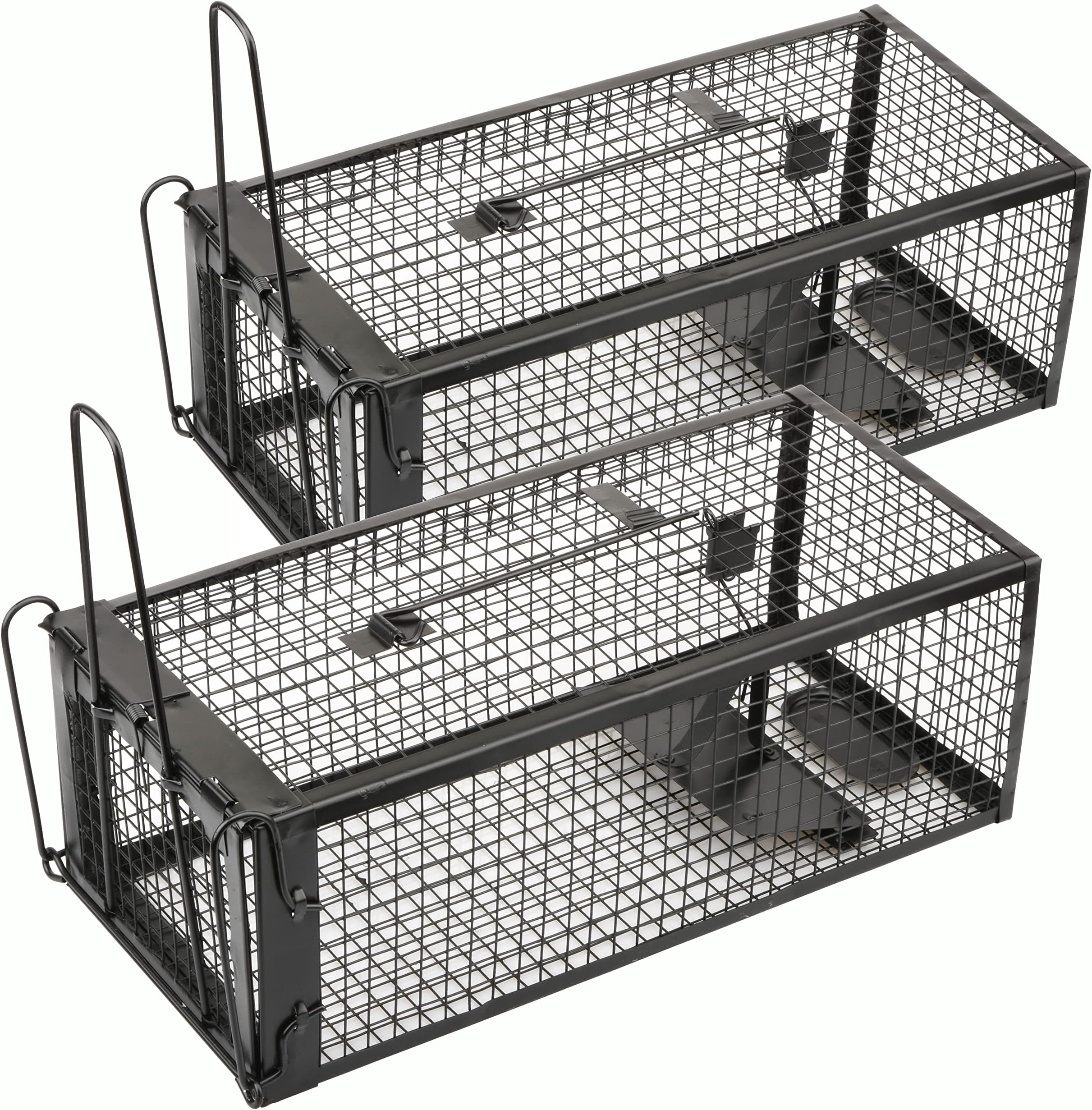 Amazon.com : Rugged Ranch Rat Trap, Live Mouse Catch & Release Cage ...