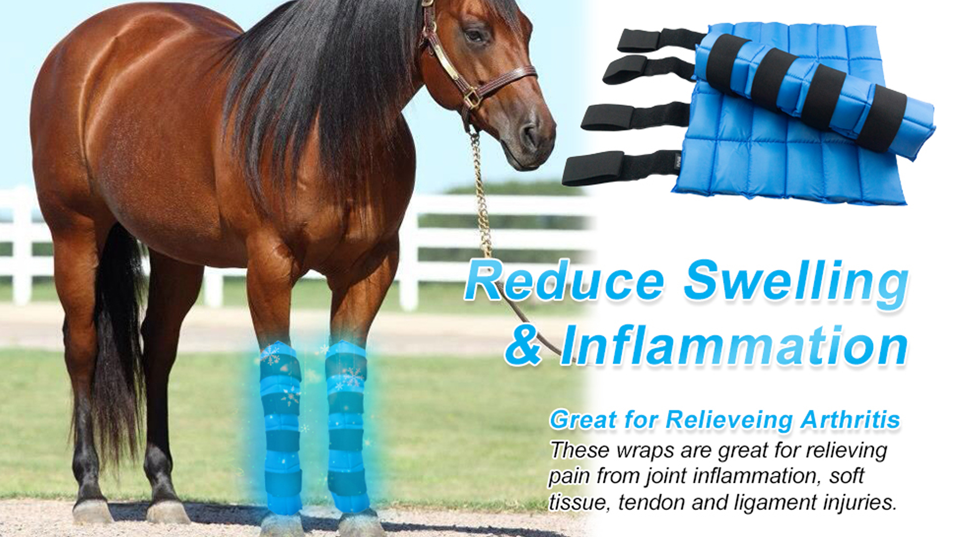 Watch Ice Boot for Horses Ice Pack Wraps for Injuries - 2 Packs on ...