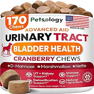 Amazon.com : Dog UTI Treatment - 170 Cranberry Chews for Dogs - Urinary Tract Infection, Bladder ...
