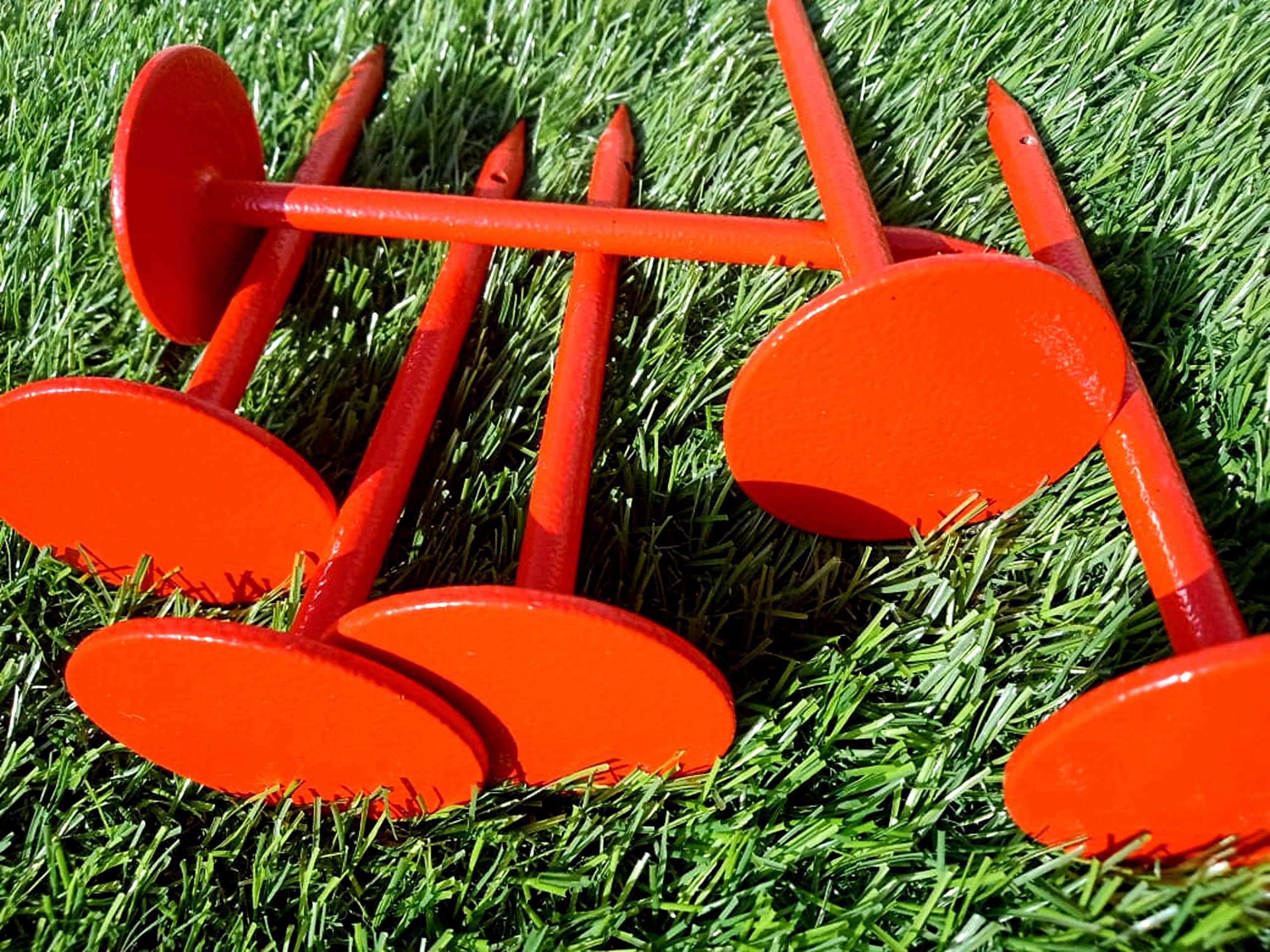 Amazon.com : Survey Stakes, Flush Property Markers, Boundary Markers ...