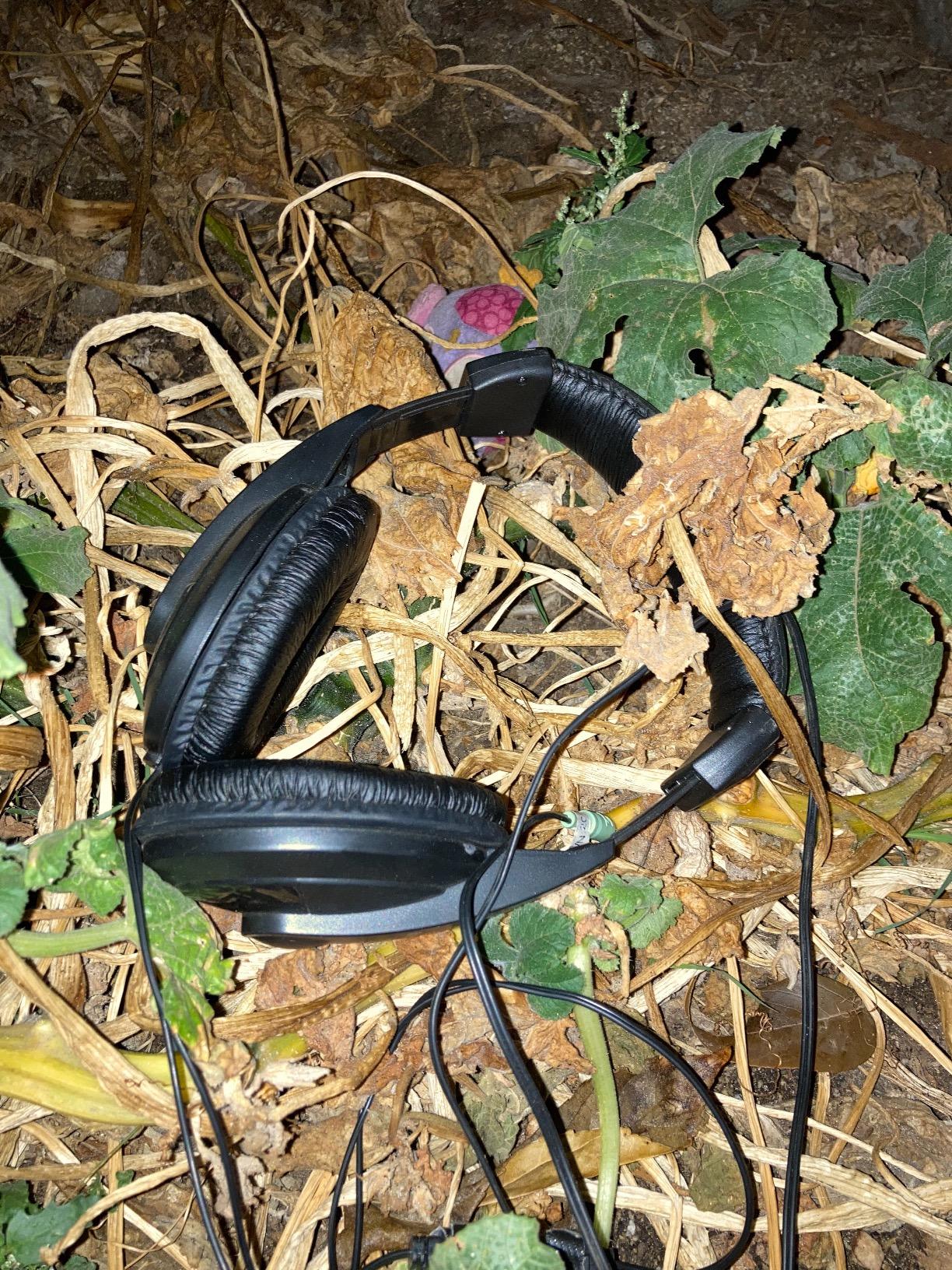 Amazon.com: ProHT Multimedia Headphones (87051) Over-ear Bass Sound ...