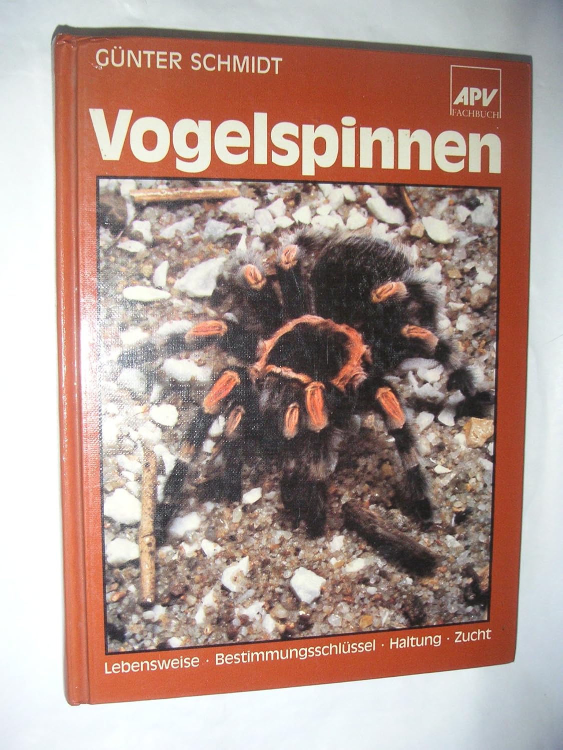 Vogelspinnen. Lebensweise, Bestimmungsschlüssel, Haltung, Zucht ...