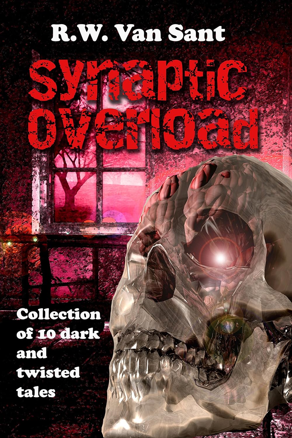 Amazon.com: Synaptic Overload: Collection of Dark and Twisted Short Stories eBook : Van Sant, R ...