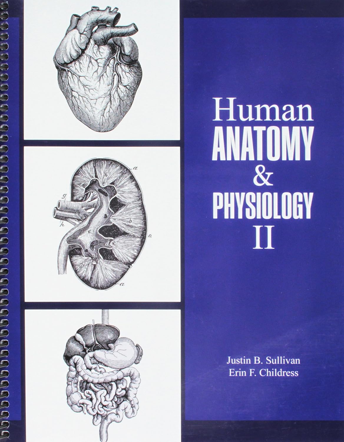 Human Anatomy and Physiology II: Justin Sullivan, Erin Childress ...