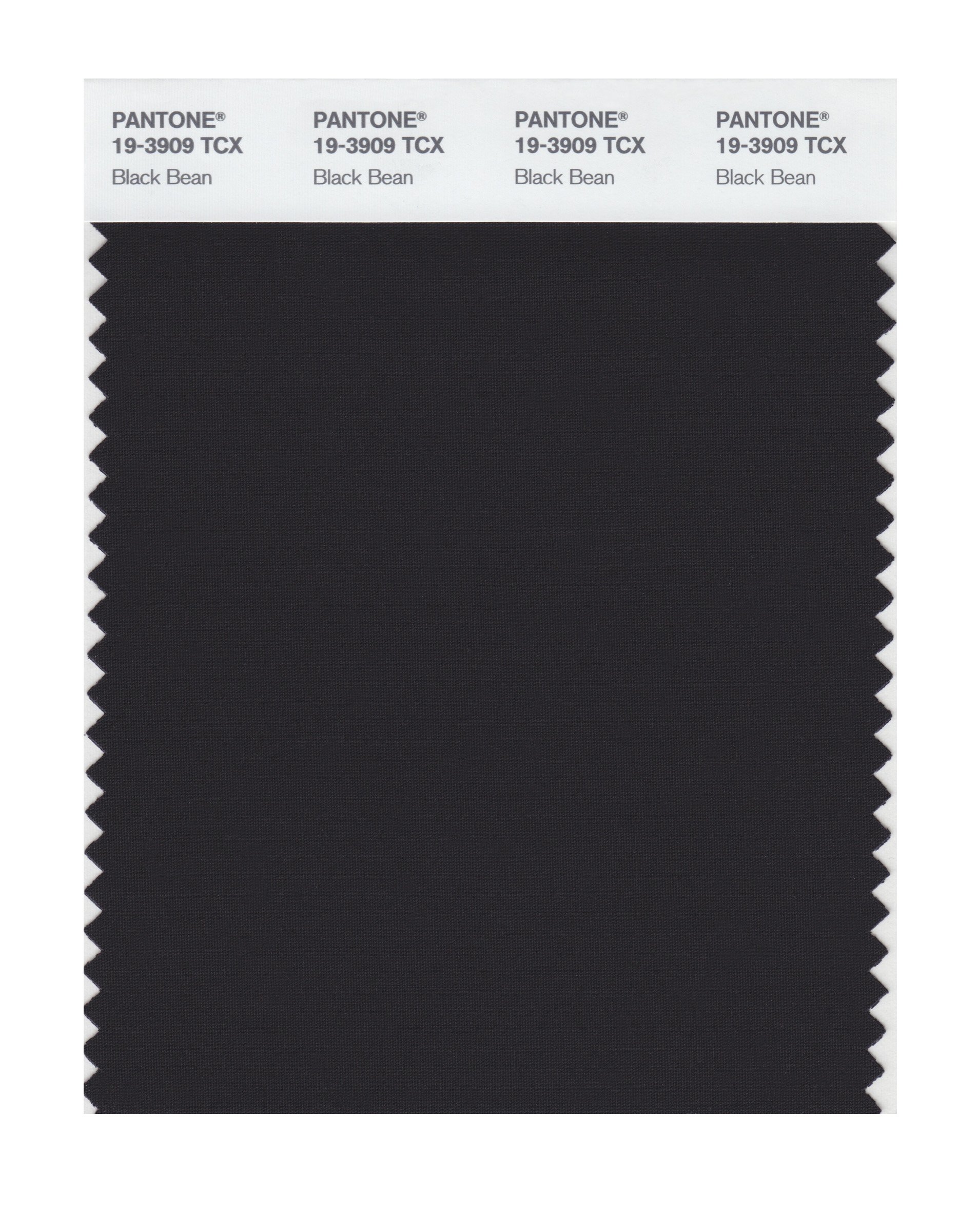 Amazon.co.jp: (Black Bean) - Pantone 19-3909 TCX Smart Colour Swatch ...