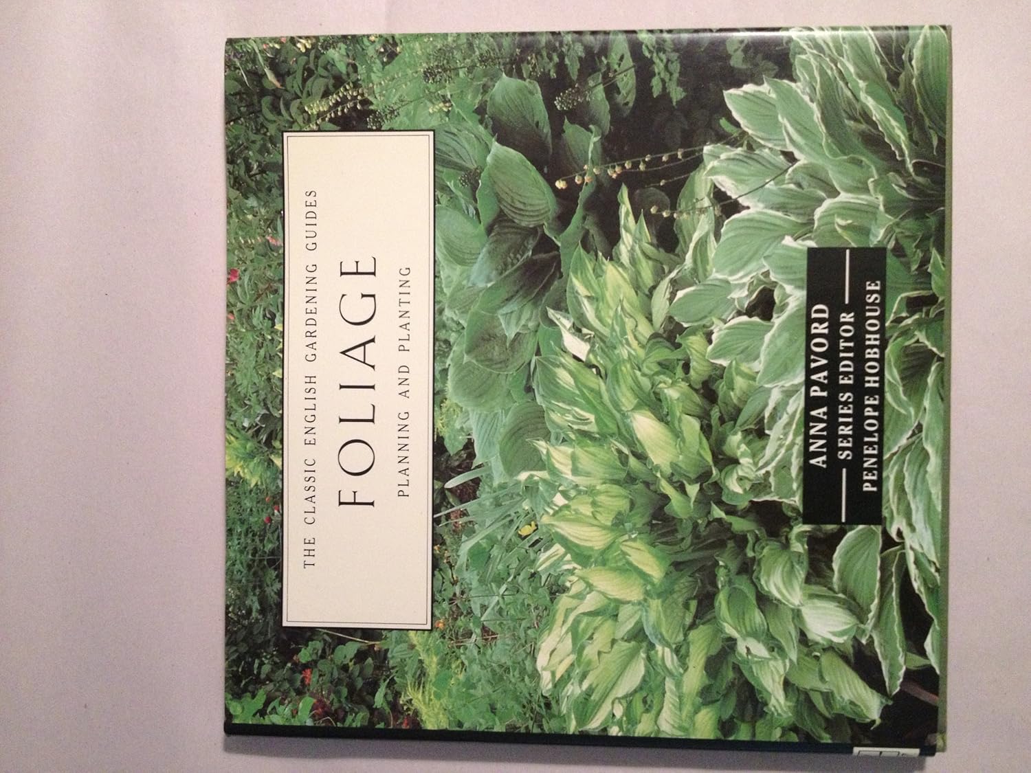 Buy Foliage: Planning and Planting (CLASSIC ENGLISH GARDENING GUIDES ...