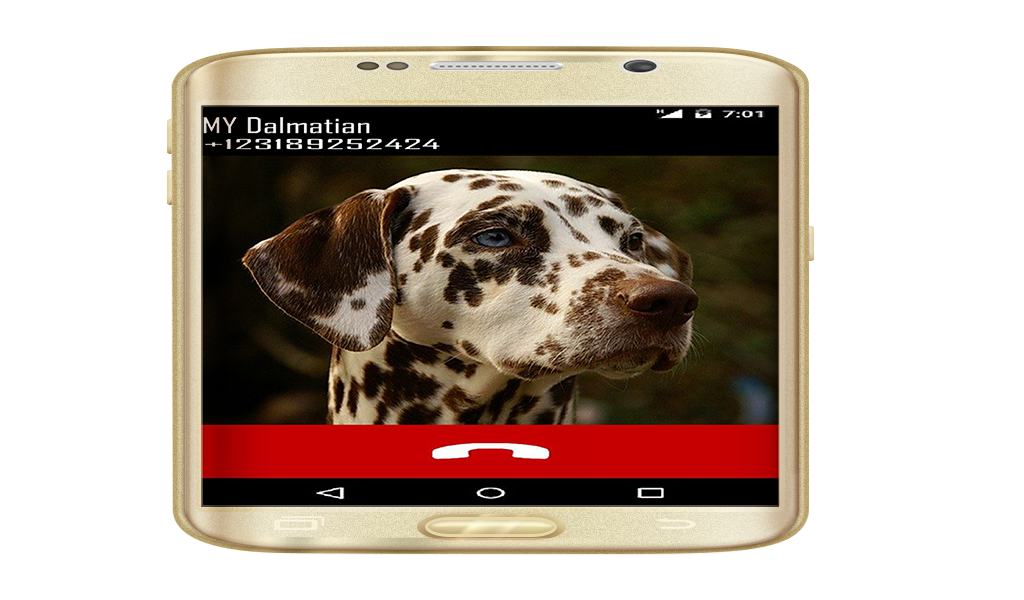 Dalmatian Fake Call Prank ( Funny Pet Calling Prank ) - Gag fake Prank ...