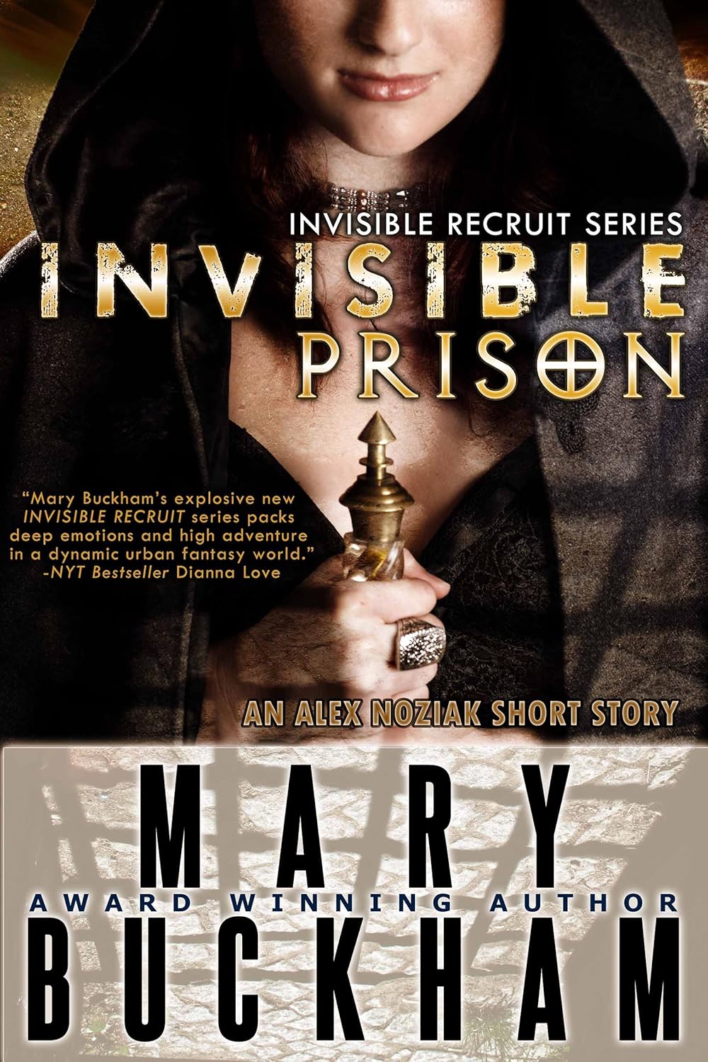Amazon.com: INVISIBLE PRISON: NOVELLA (The Invisible Recruits Novellas ...