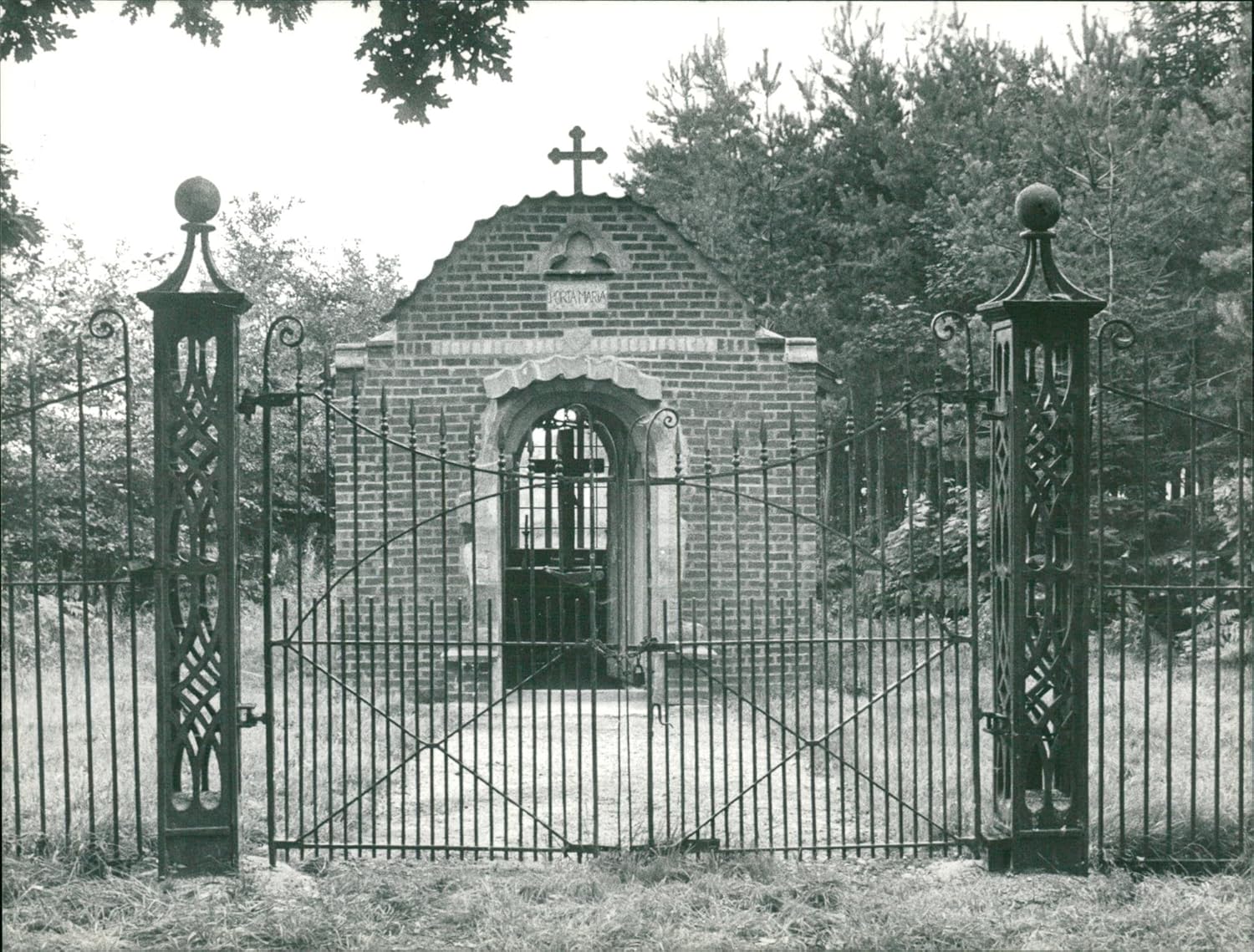 Amazon.com: Margreth Weivers - Vintage Press Photo: Photographs