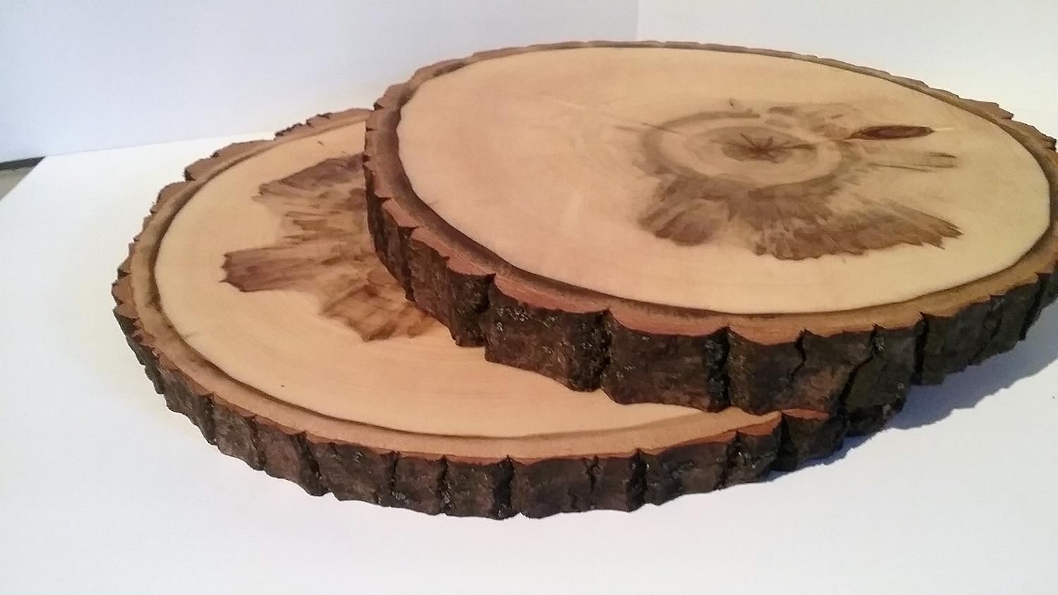 Amazon.com: 2 Beech Tree Slices, 12" by 11" Wood Slabs, Rustic Home or ...
