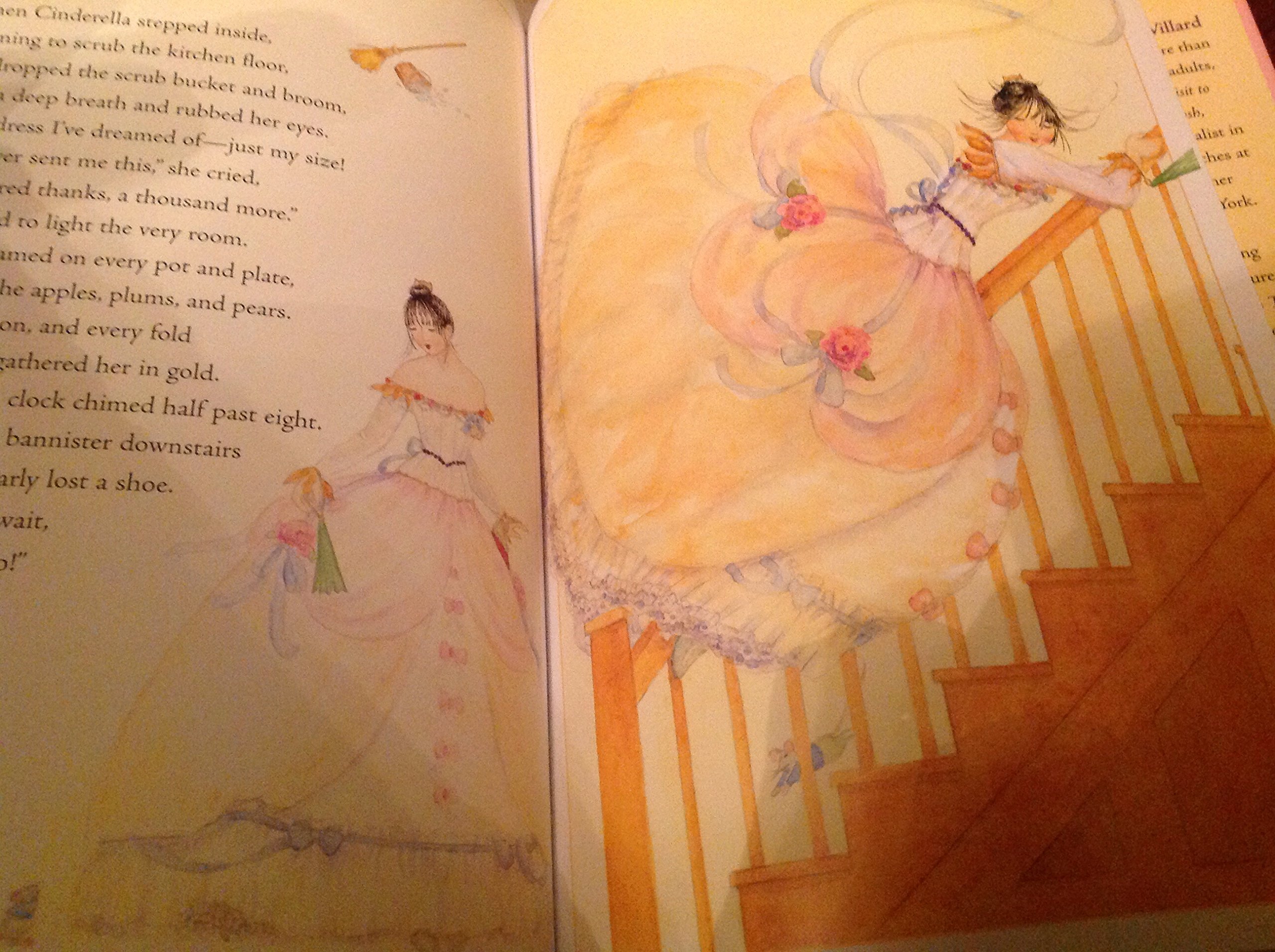 Cinderella's Dress: Willard, Nancy, Dyer, Jane: 9780590569279: Amazon ...