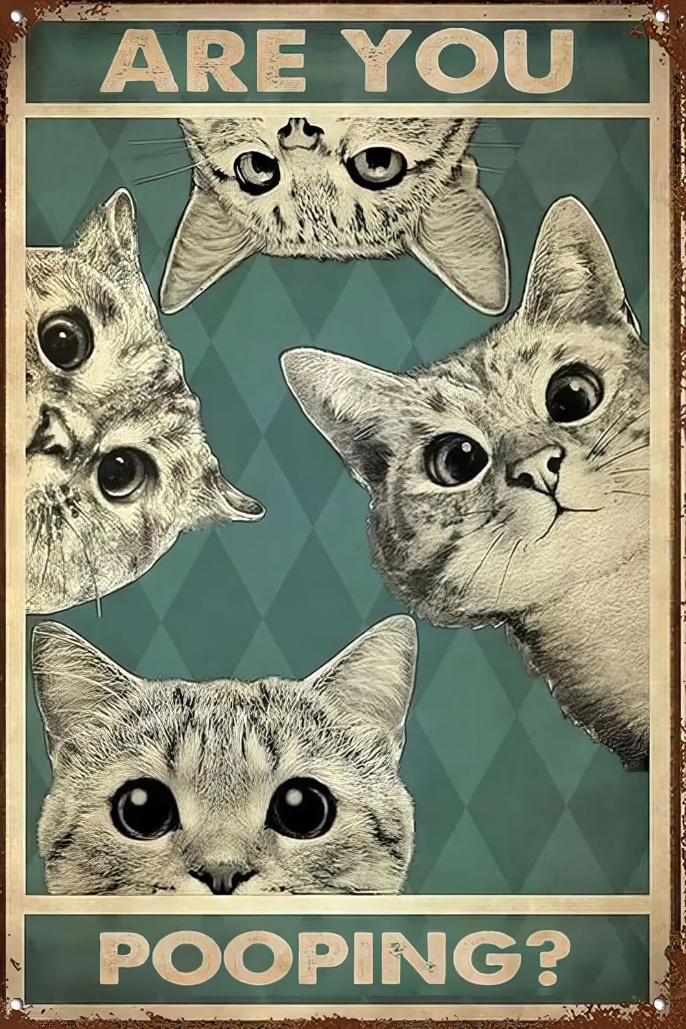 Amazon.com: Are You Pooping Cat Sign Funny Metal Tin Signs Bathroom ...