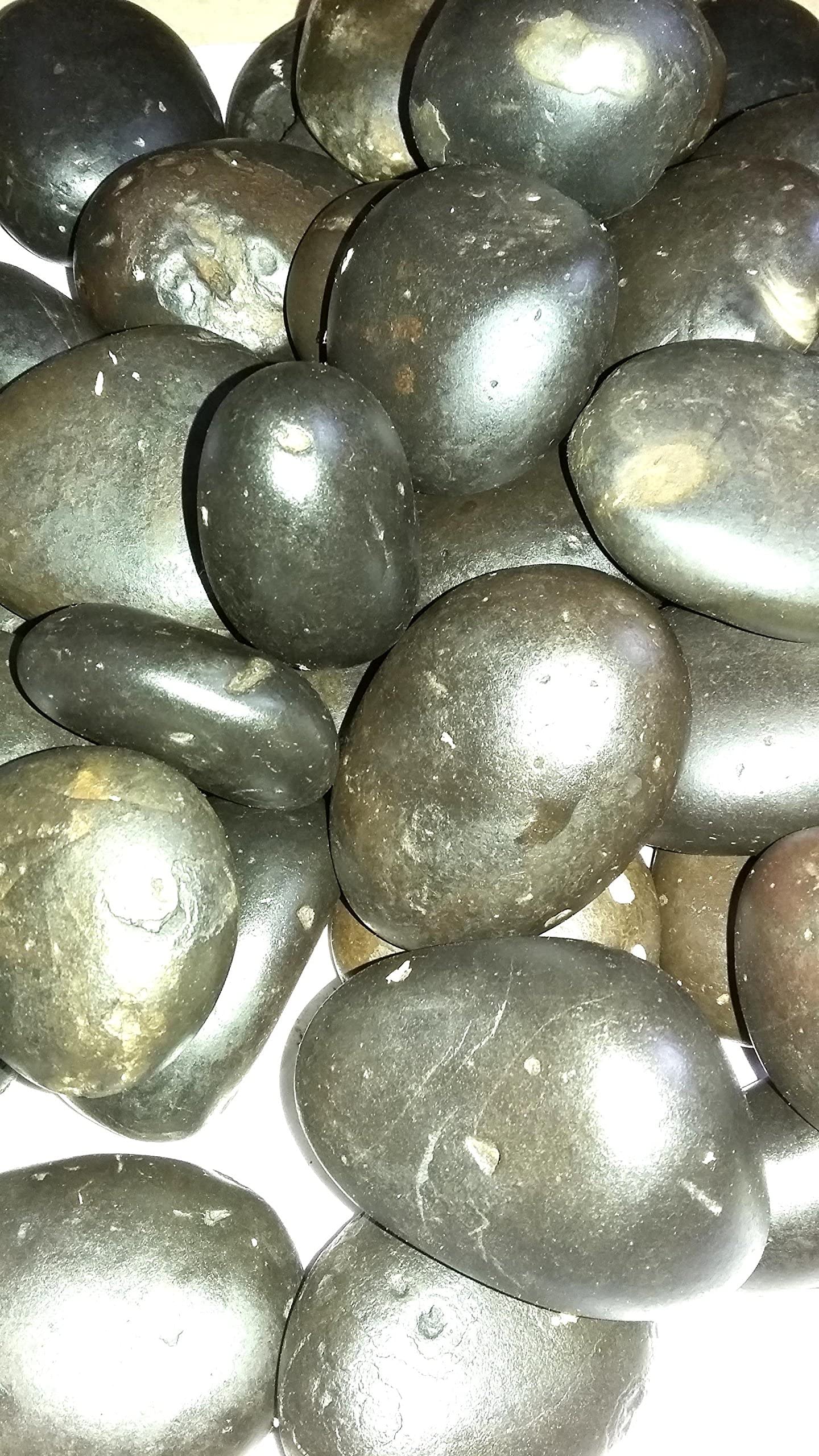 Nc Shaligram India Rare Shaligram Hindu Pooja Divine Pooja Hindu ...