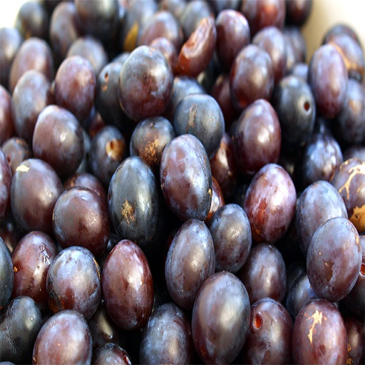 DAMSON_info - App on Amazon Appstore