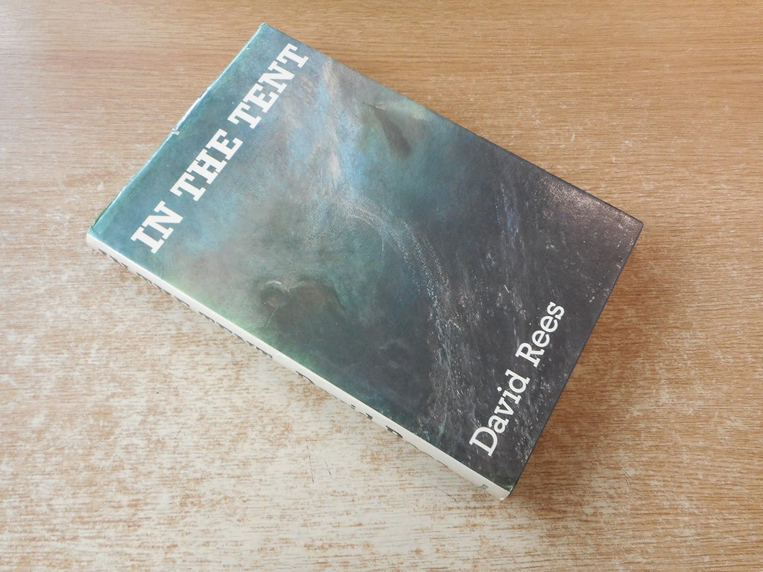 In the Tent: David Rees: 9780234720912: Amazon.com: Books