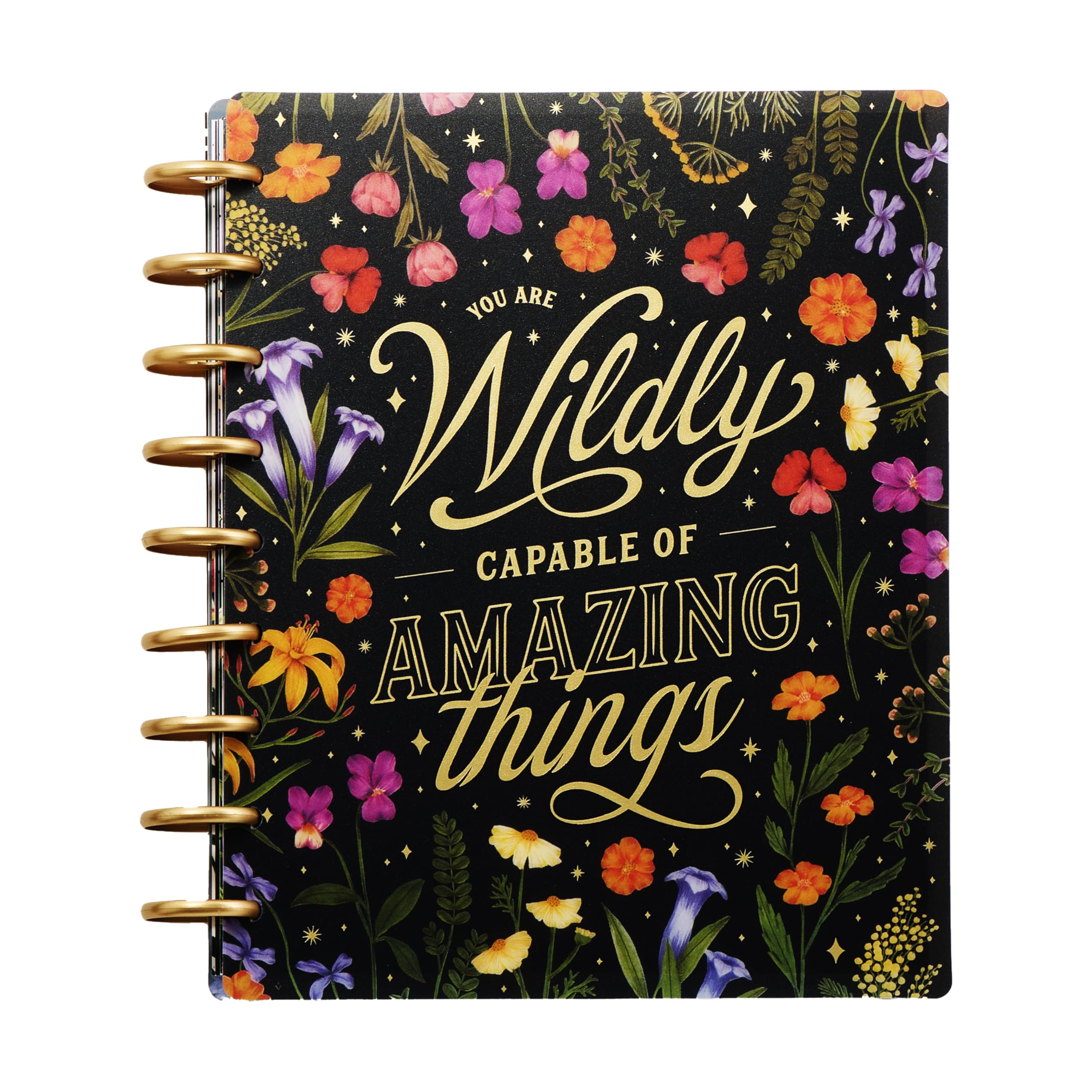 Buy Happy Planner Disc-Bound 12-Month Planner, Jan.–Dec. 2025 Daily ...