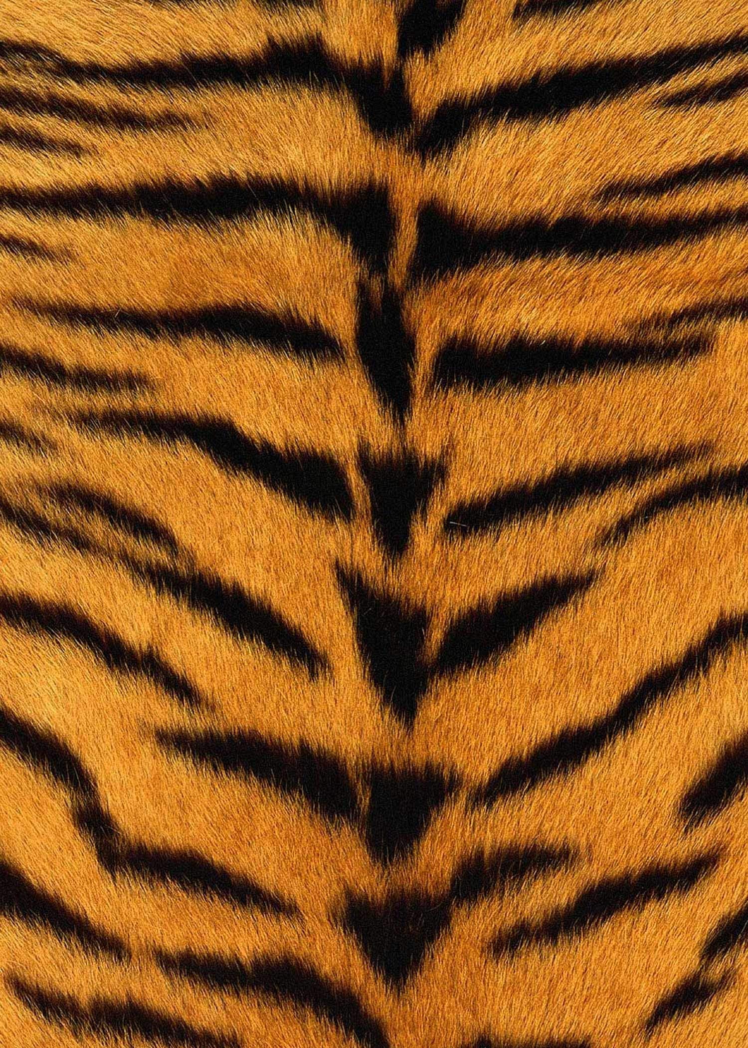 Tiger Skin Backgrounds