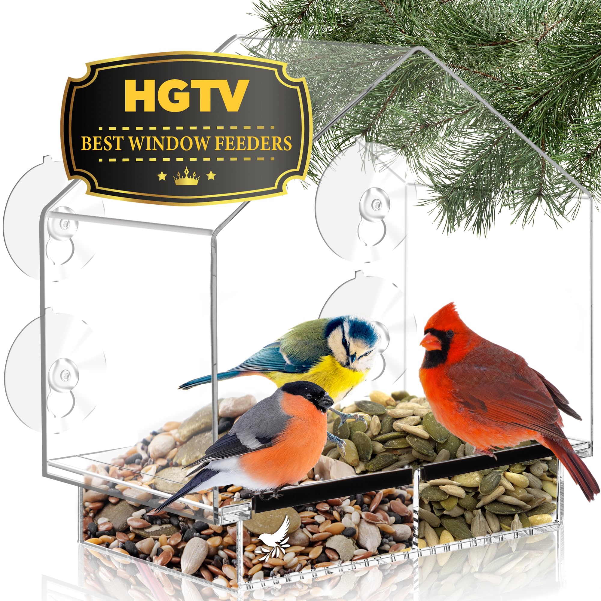 Amazon.com : Window Bird Feeder with Strong Suction Cups, Clear Window ...