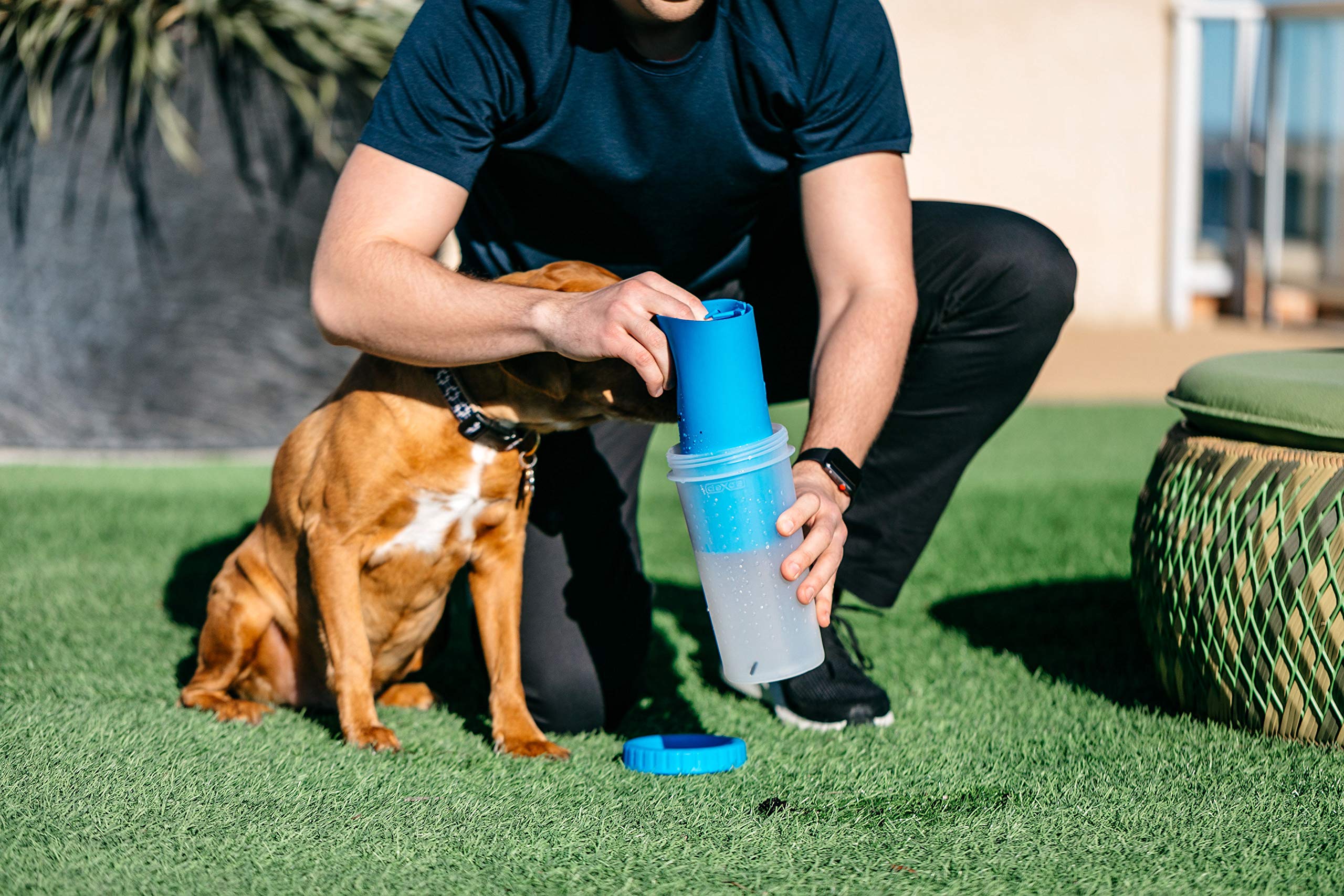 Snapklik.com : Dexas MudBuster Large Portable Pro Blue Paw Cleaner For Dogs