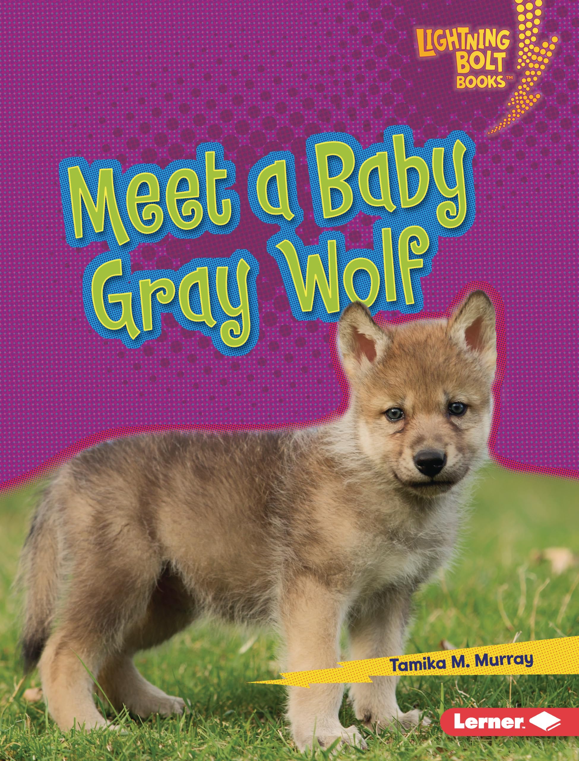 Meet a Baby Gray Wolf (Lightning Bolt Books ® ― Baby North American ...