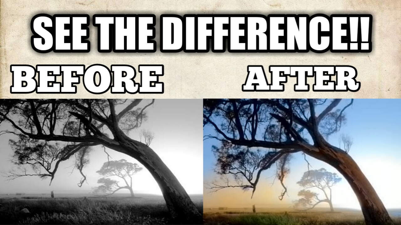 Black And White Photo To Colour Photo Converter Convert Your Any Black And White Photos To A black-and-white-photo-to-colour-photo-converter-convert-your-any-black-and-white-photos-to-a