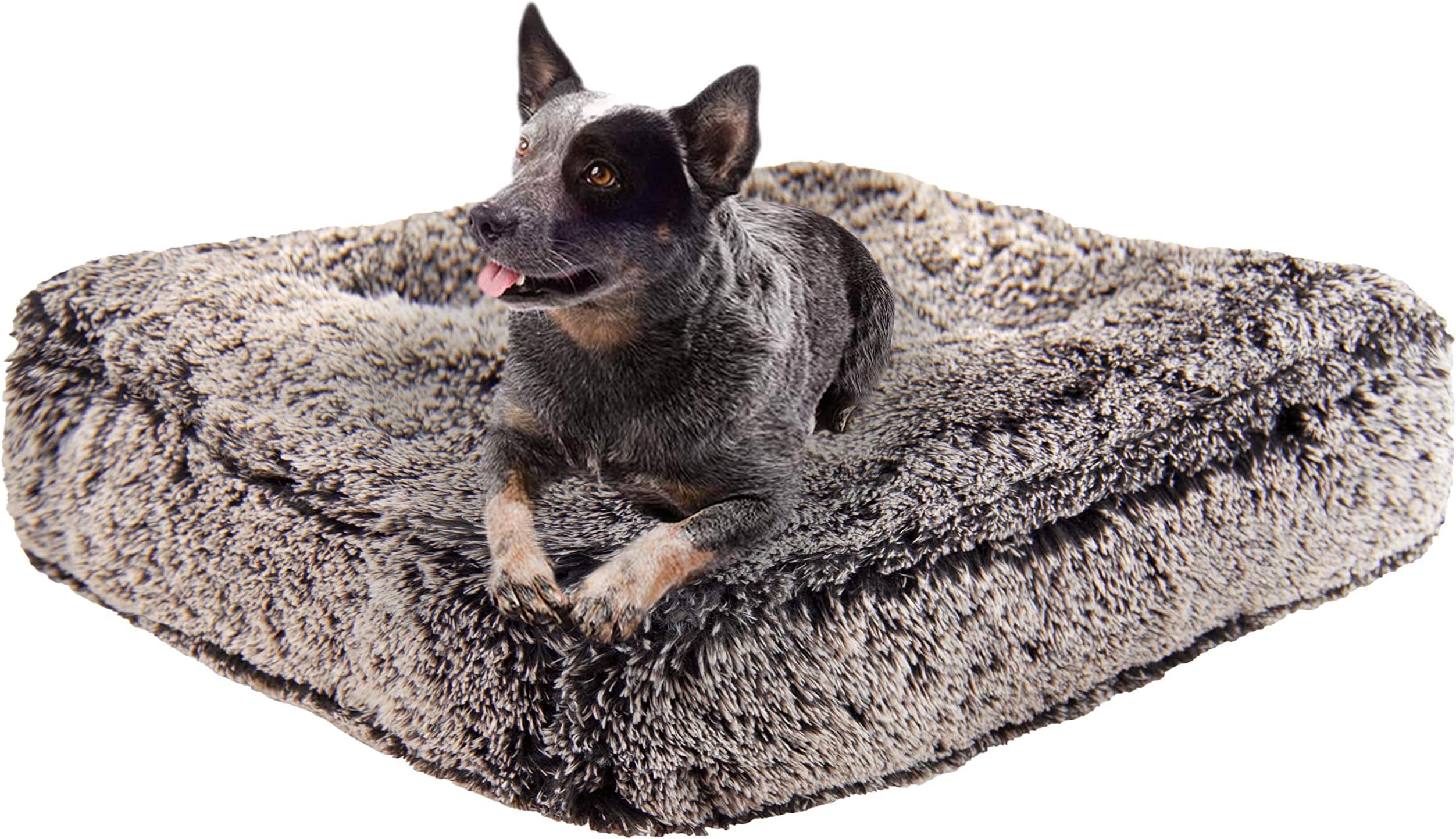 Amazon.com : PUJUN Toast Cute Pet Beds Foam-Mattress for Dogs & Cats ...