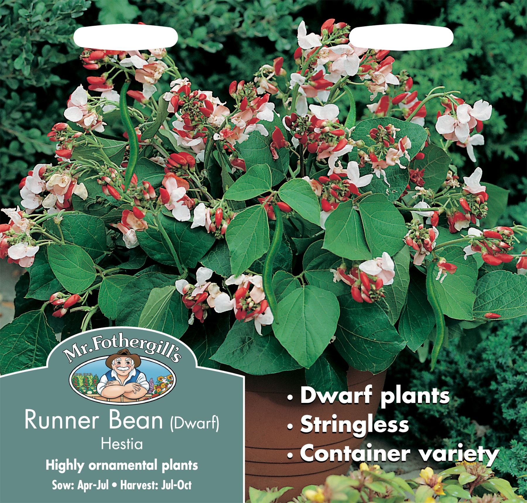 Mr Fothergills - Pictorial Packet - Vegetable - Runner Bean Hestia ...