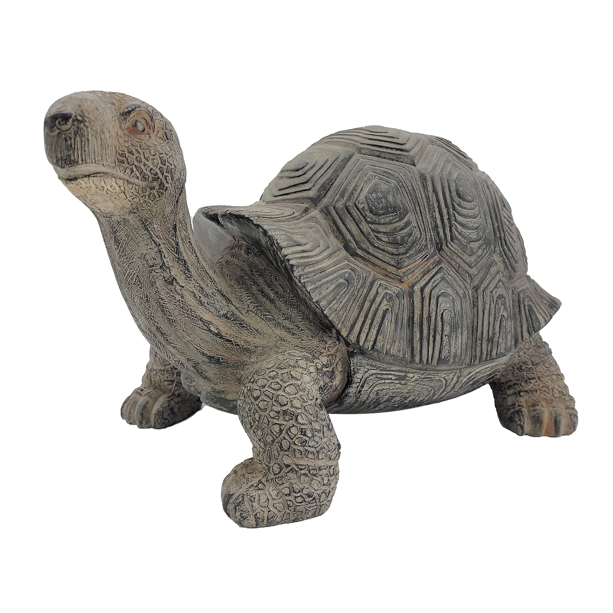 Amazon.com: Galt International Tortoise Turtle Garden Statue 18 ...