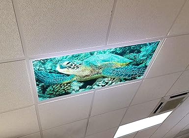 Amazon.com: Sea Turtle - 2ft x 4ft Drop Ceiling Fluorescent Decorative ...