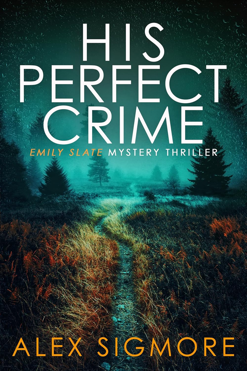 His Perfect Crime (Emily Slate FBI Mystery Thriller Book 1) - Kindle ...