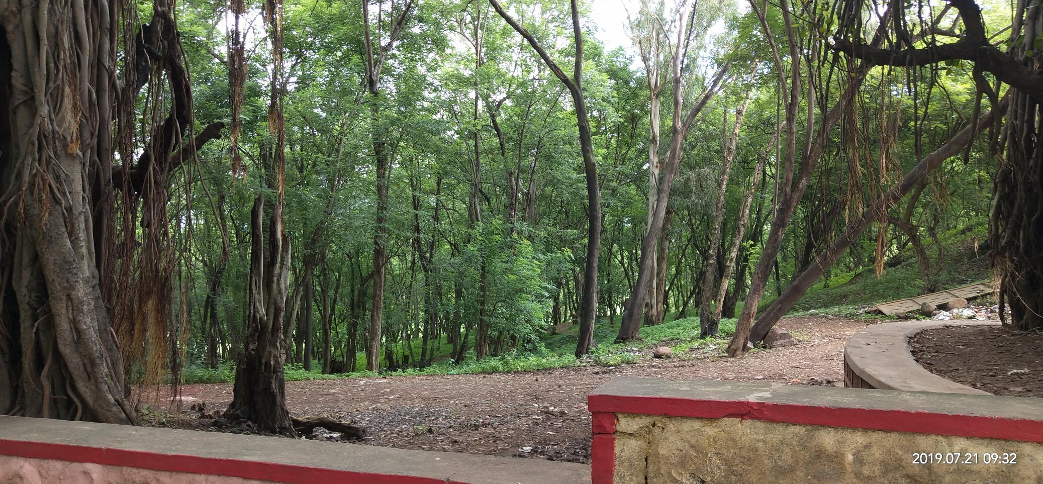 Lava Z62 (Space Blue, 2GB RAM, 16GB Storage) : Amazon.in: Electronics