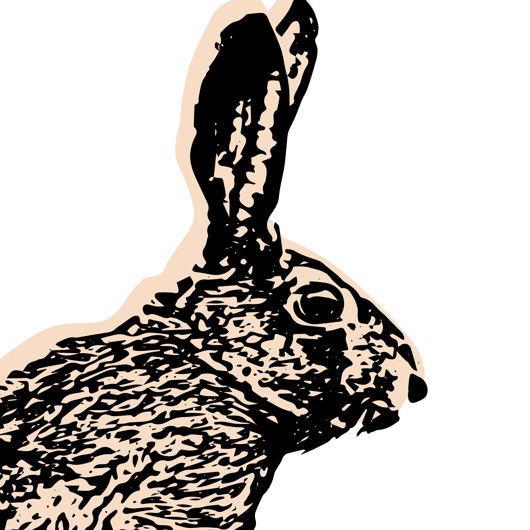 Amazon.com: Jackrabbit Rituals: books, biography, latest update