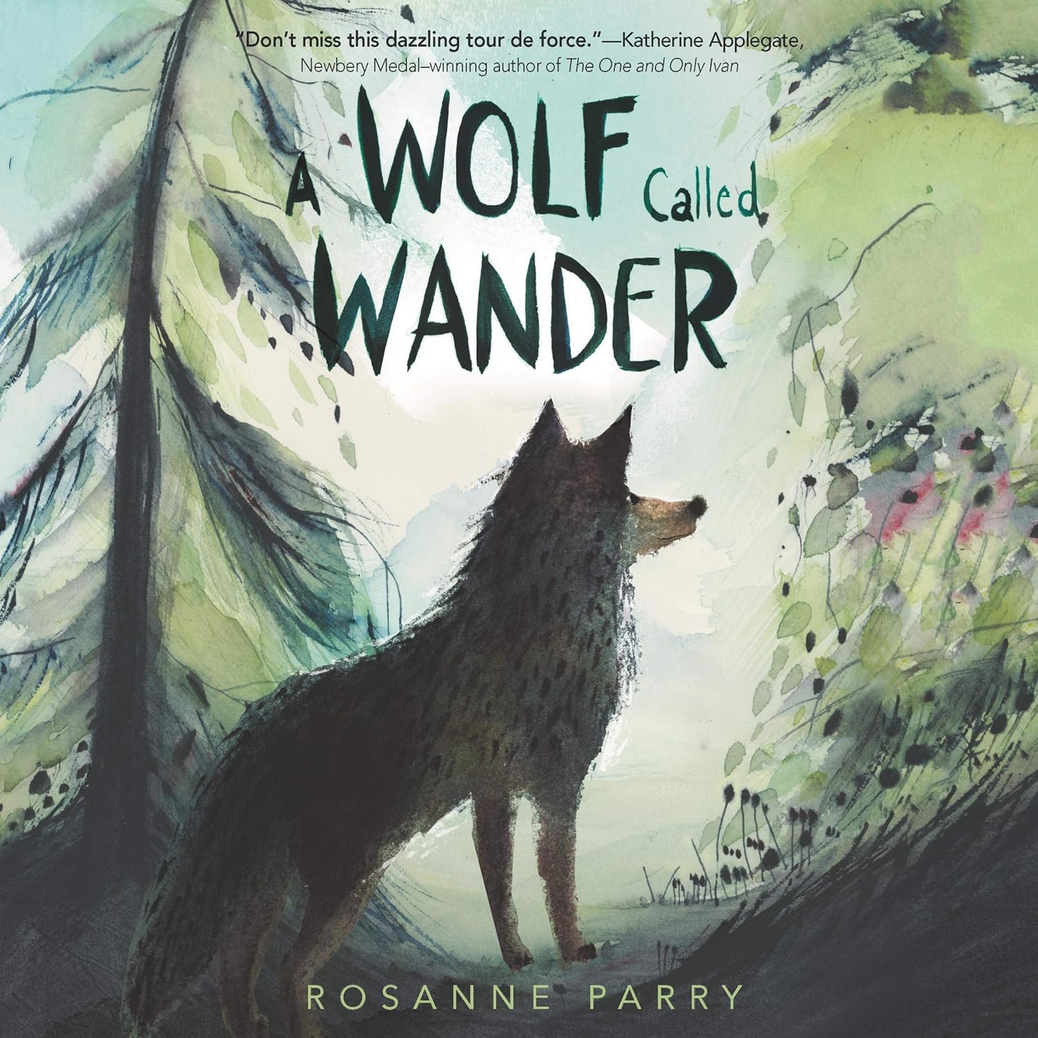 A Wolf Called Wander: Rosanne Parry: 9781982658090: Amazon.com: Books