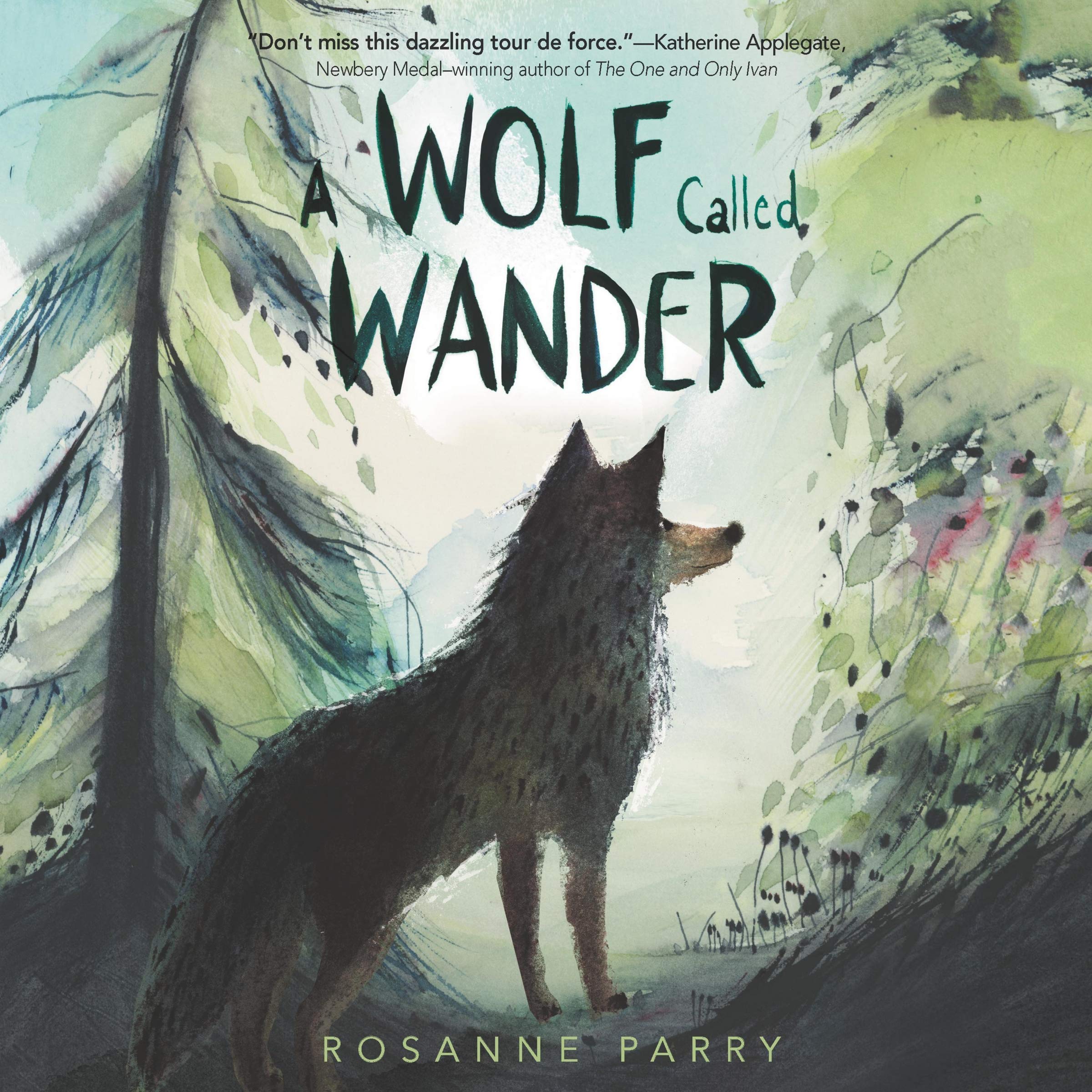 A Wolf Called Wander: Rosanne Parry: 9781982658090: Amazon.com: Books