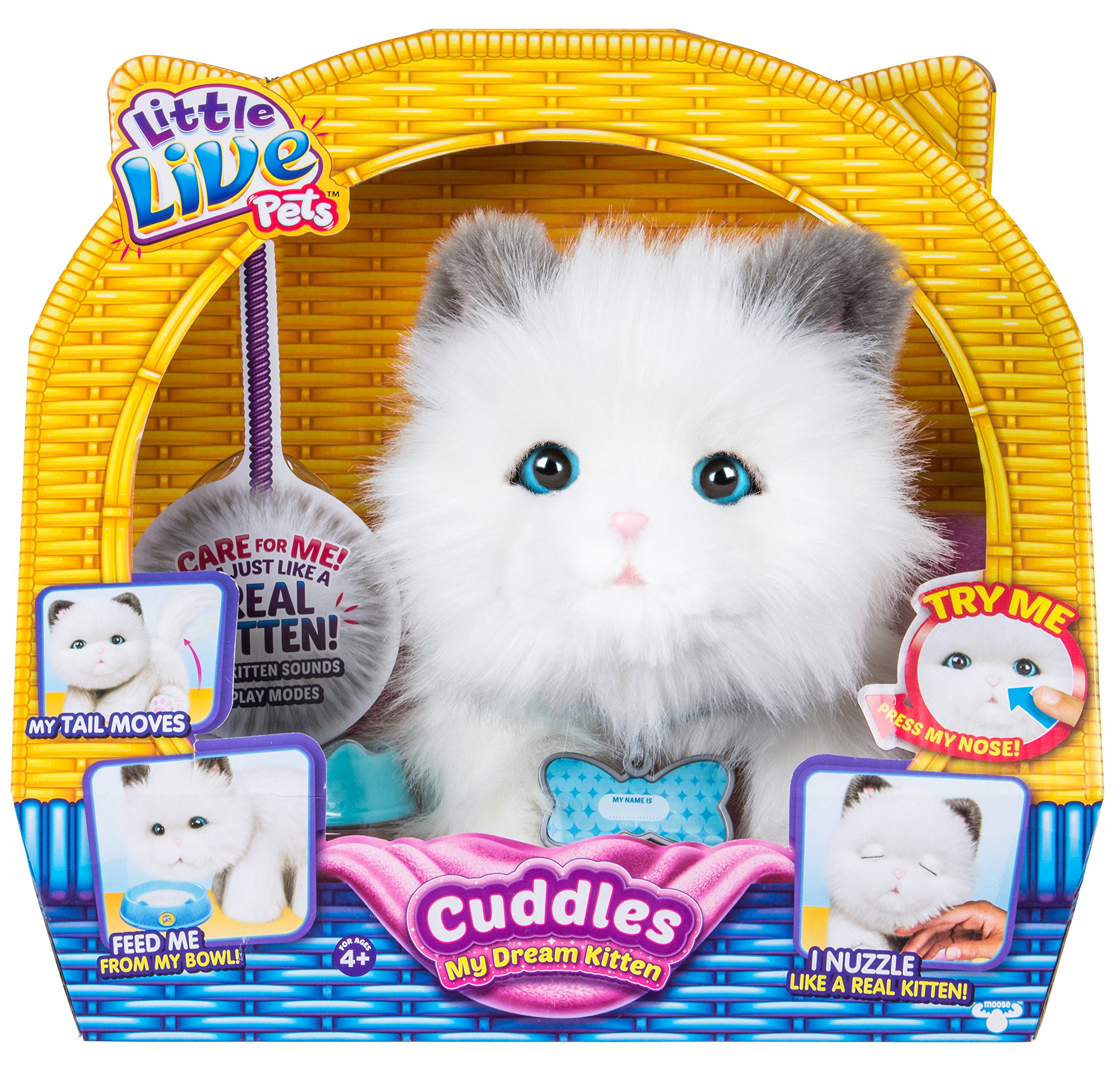 Kitten Le Leabhar