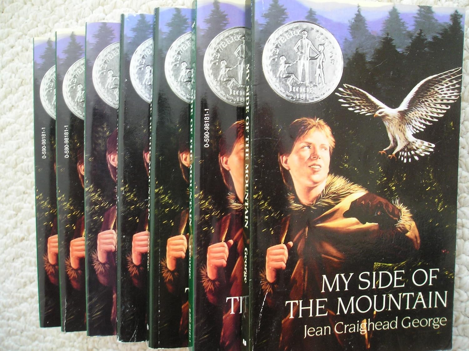 My Side of the Mountain Guided Reading Classroom Set: Jean Craighead ...