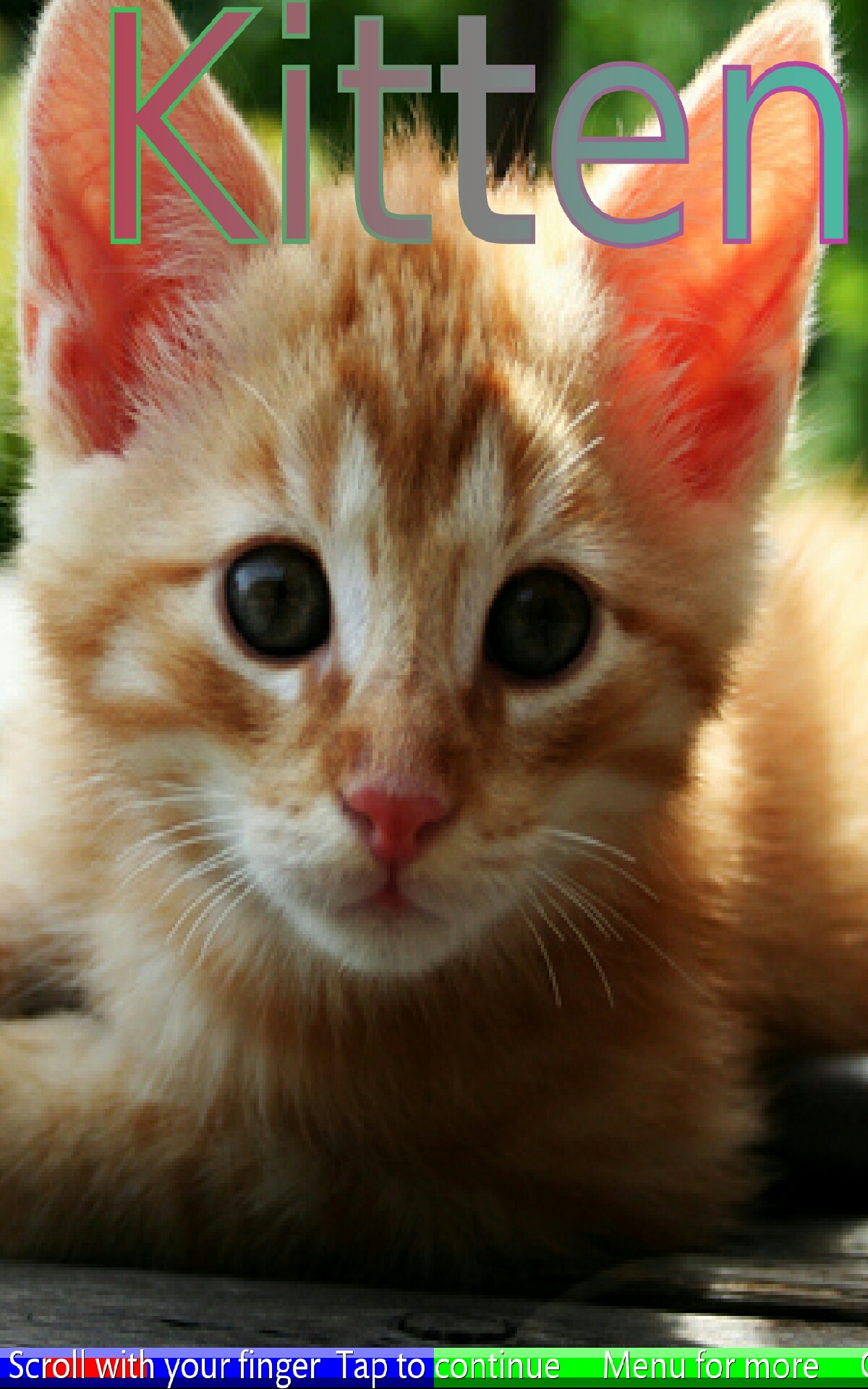 Baby Animals 2 - App on Amazon Appstore