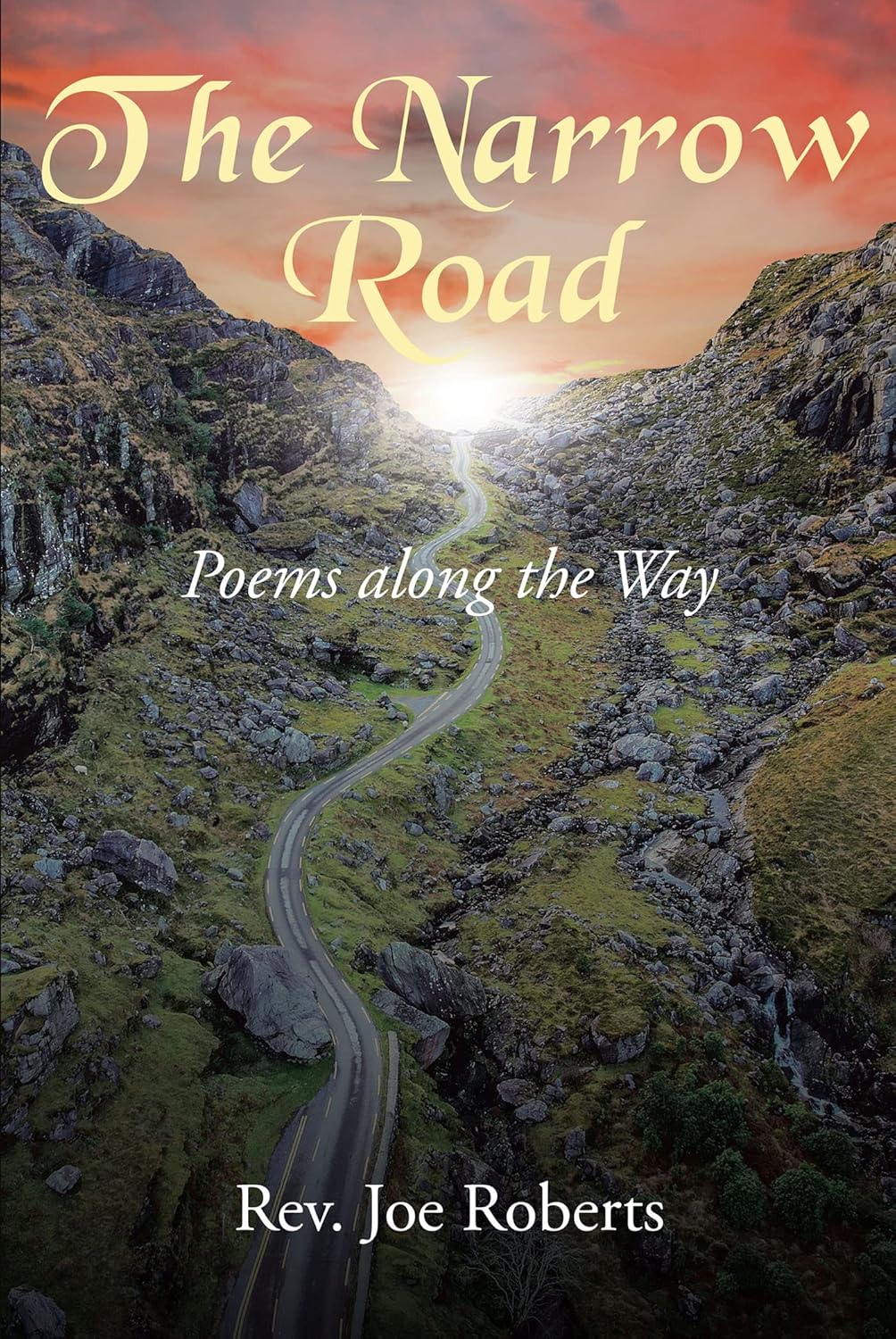 The Narrow Road: Poems along the Way - Kindle edition by Roberts,Rev ...