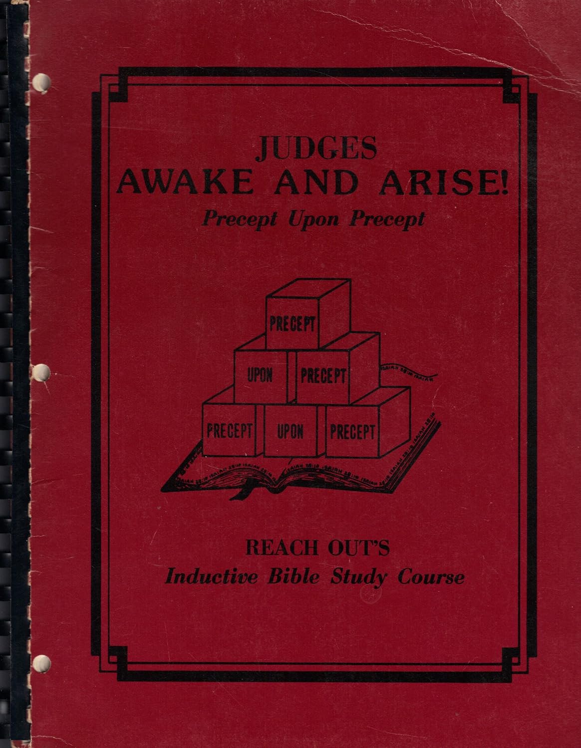 Judges Awake and Arise! Precept Upon Precept (Reach Out's Inductive ...